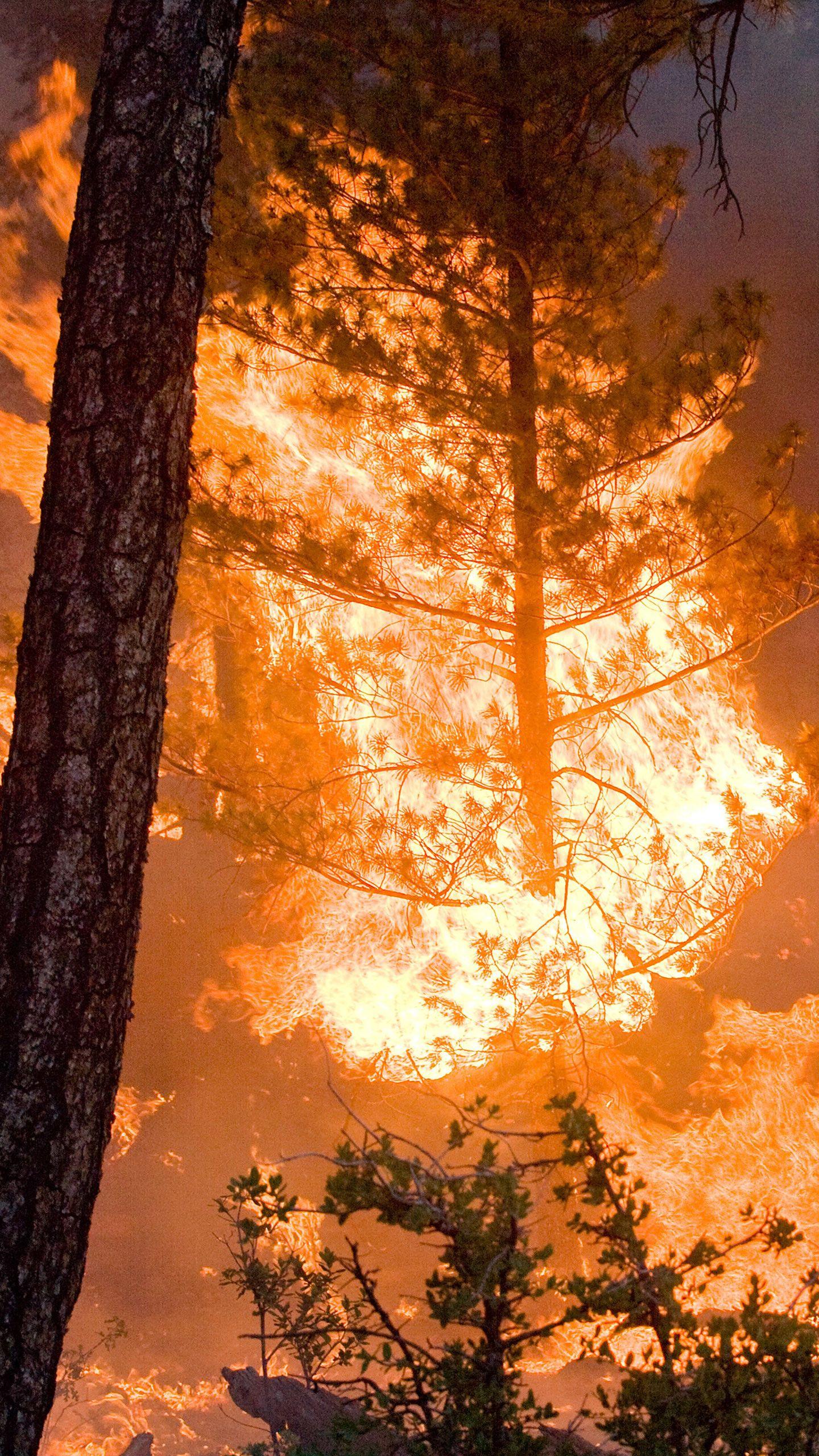 Fire Phone HD Wallpapers - Top Free Fire Phone HD Backgrounds ...