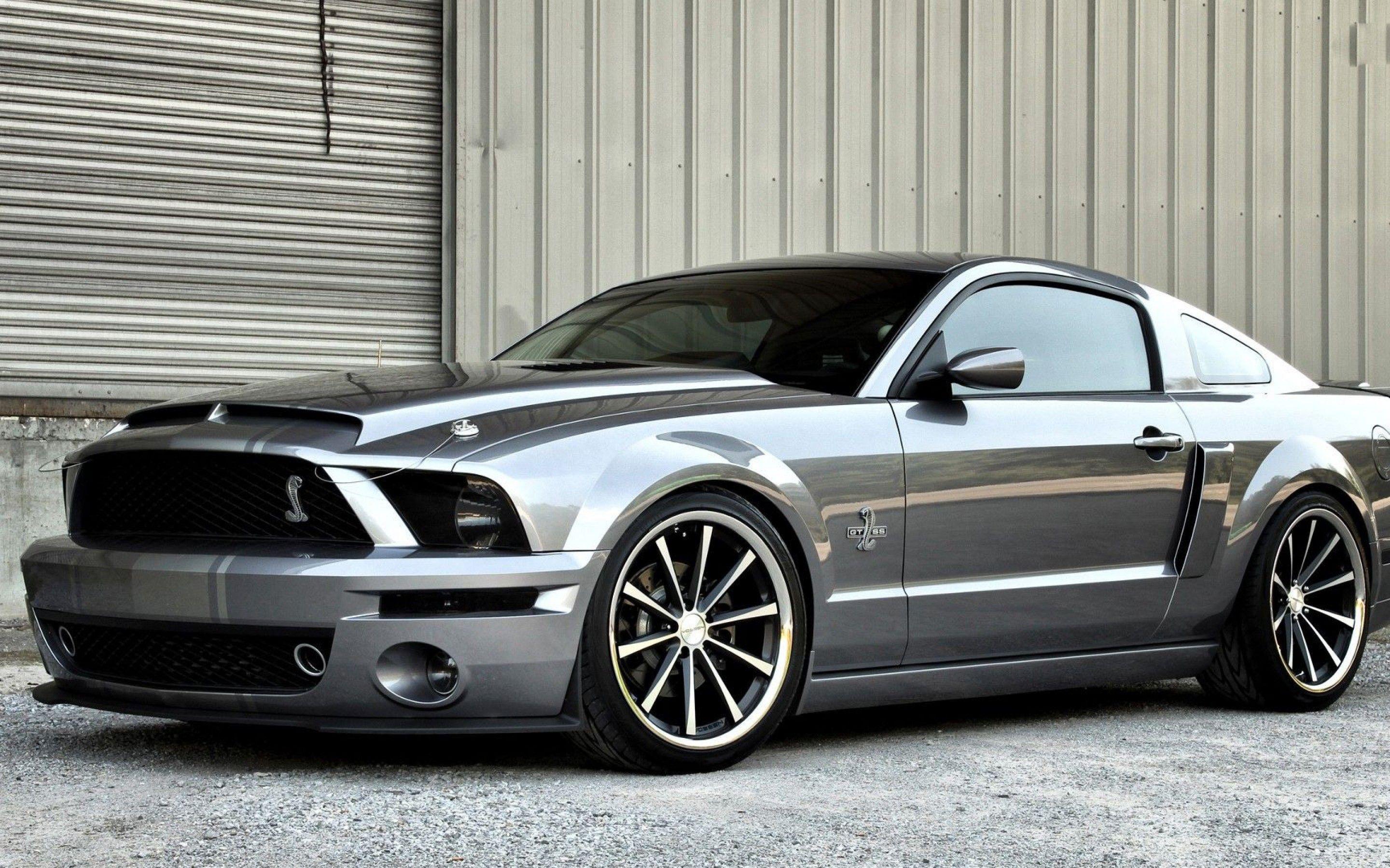 Silver Mustang Wallpapers - Top Free Silver Mustang Backgrounds ...
