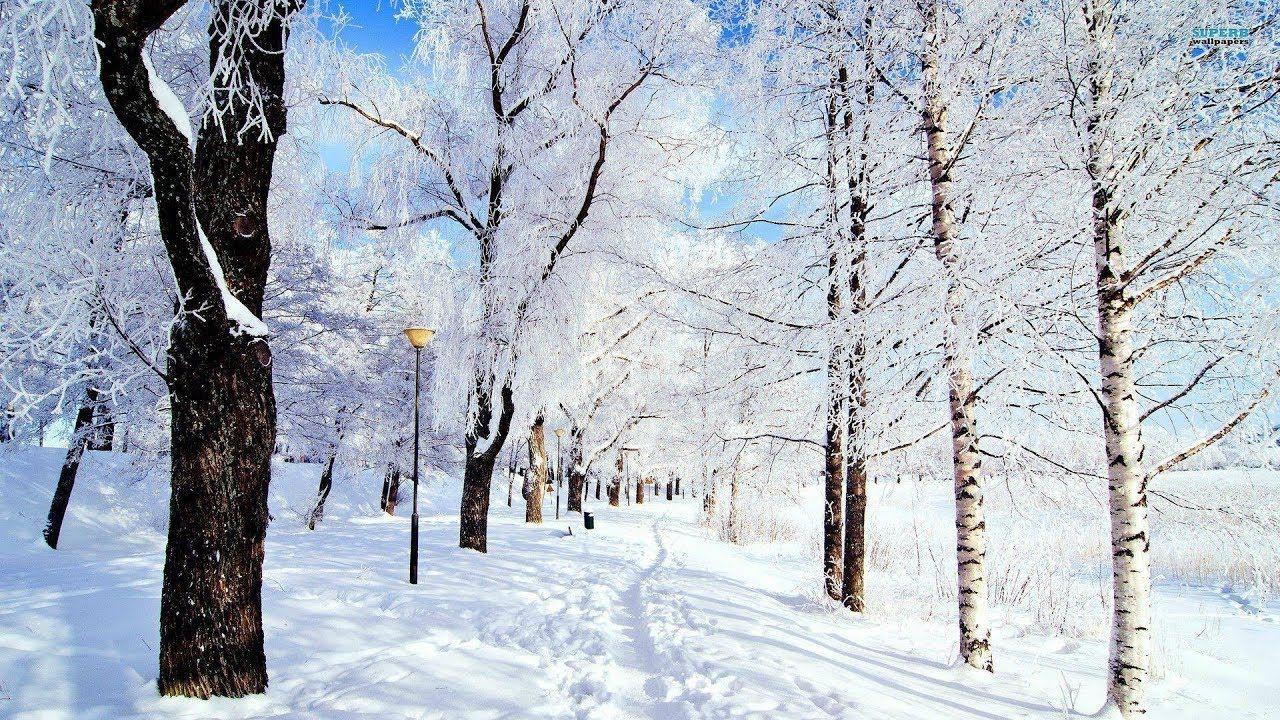 Winter Reading Wallpapers - Top Free Winter Reading Backgrounds ...