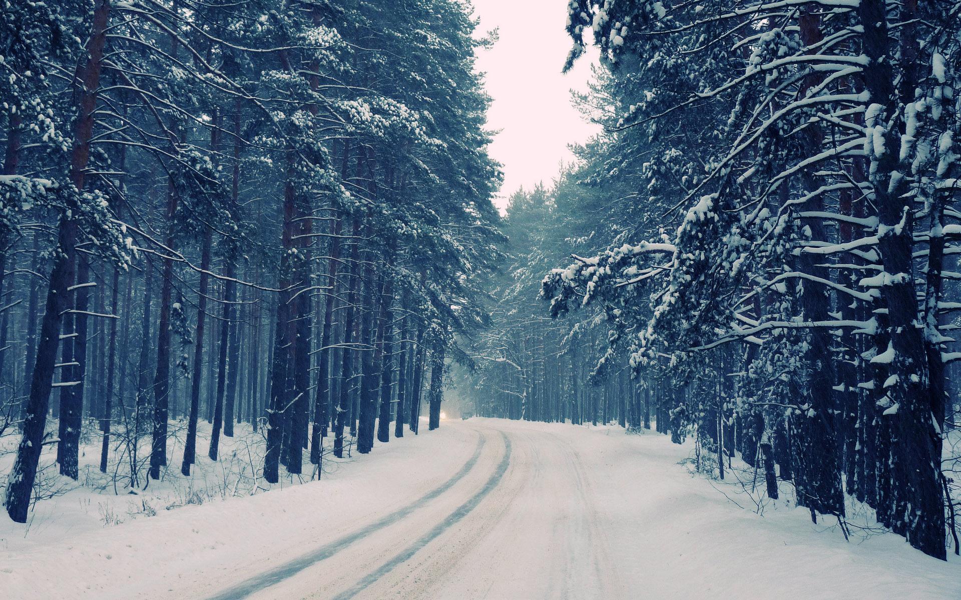 Winter Reading Wallpapers - Top Free Winter Reading Backgrounds ...