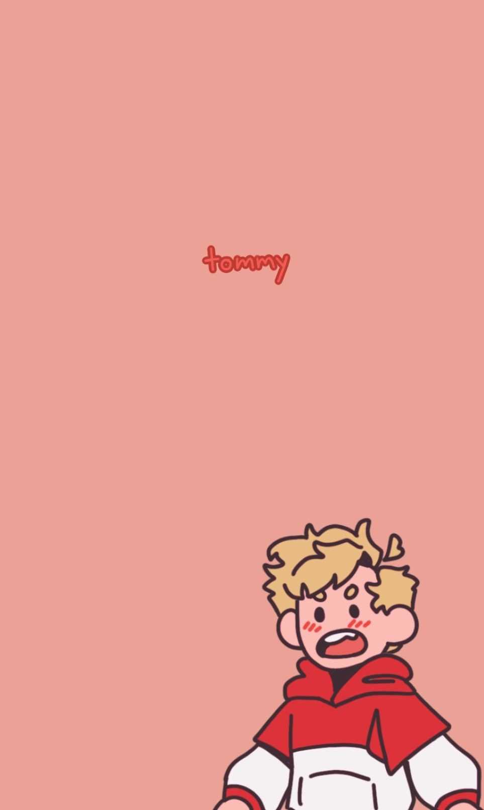 Tommyinnit Wallpapers - Top Free Tommyinnit Backgrounds - WallpaperAccess