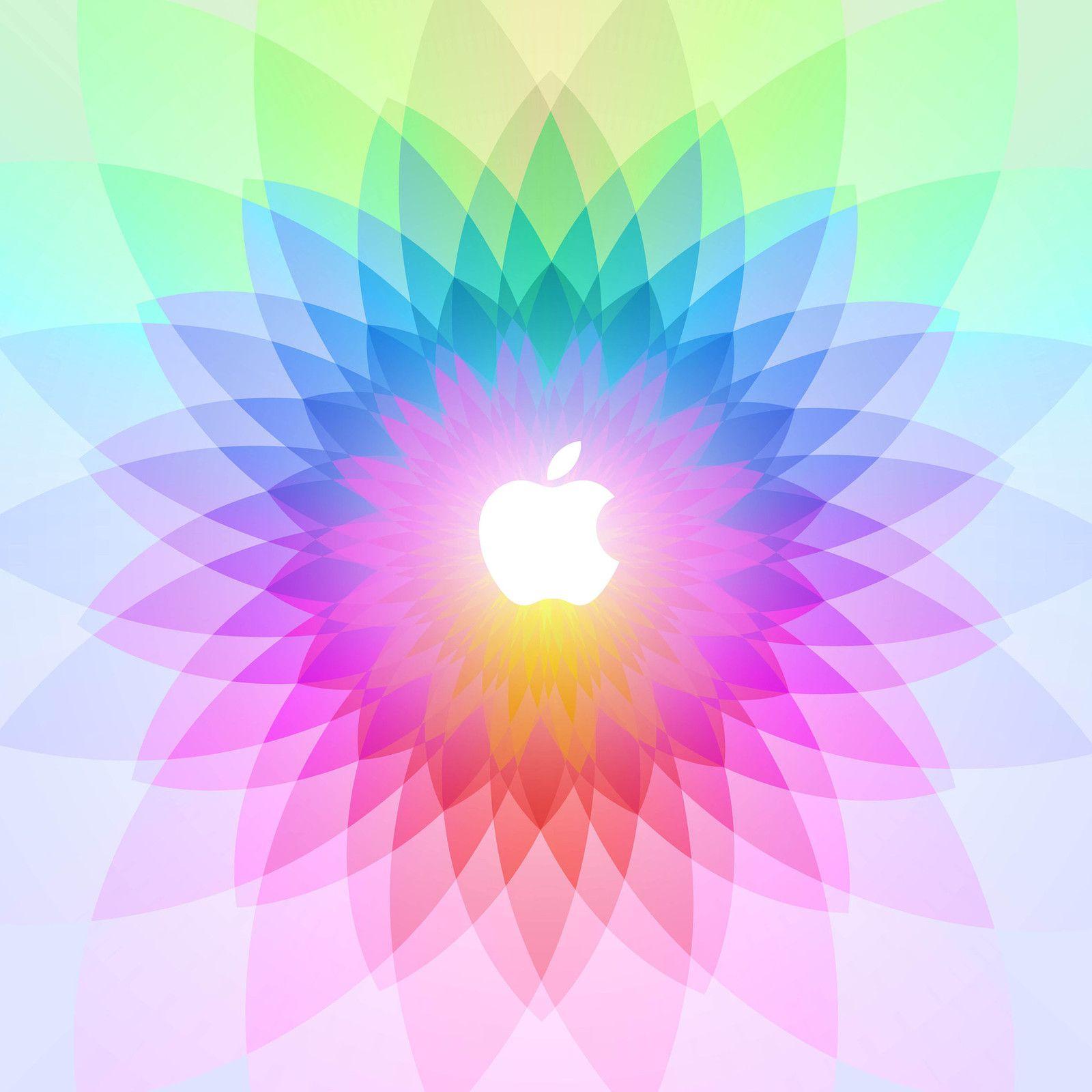 Forward Wallpapers - Top Free Forward Backgrounds - WallpaperAccess