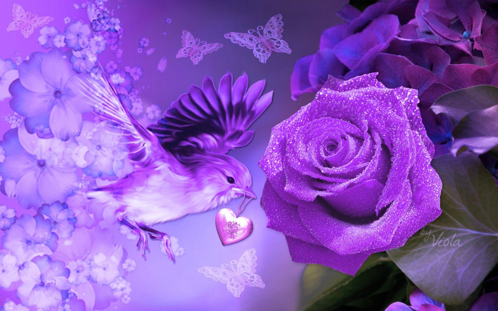Purple Rose Desktop Wallpapers - Top Free Purple Rose Desktop ...