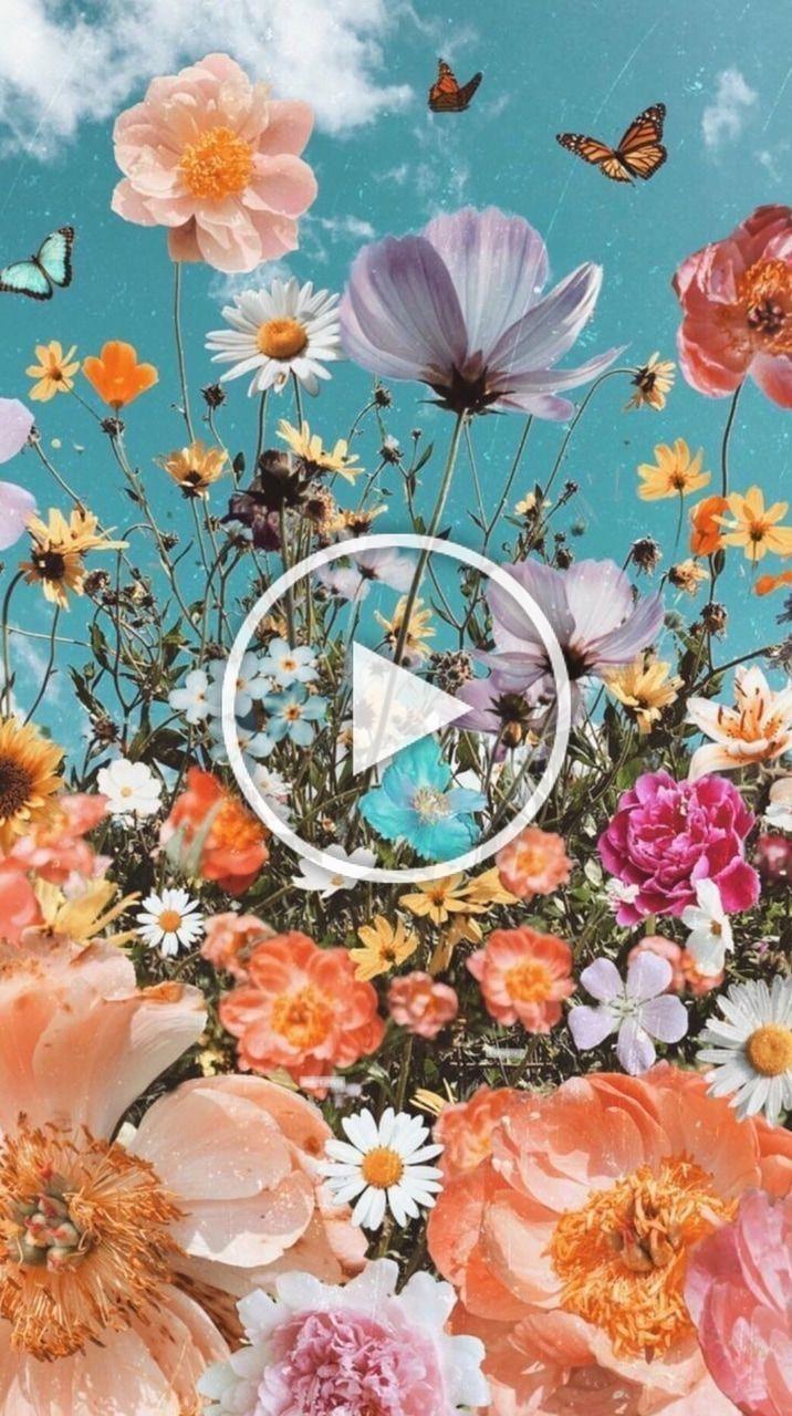 Stay Beautiful Wallpapers - Top Free Stay Beautiful Backgrounds ...