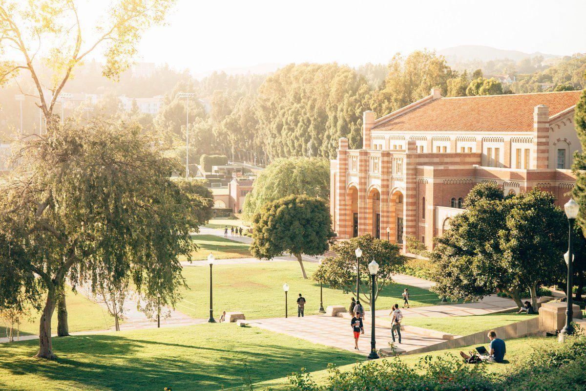 UCLA Campus Wallpapers - Top Free UCLA Campus Backgrounds - WallpaperAccess