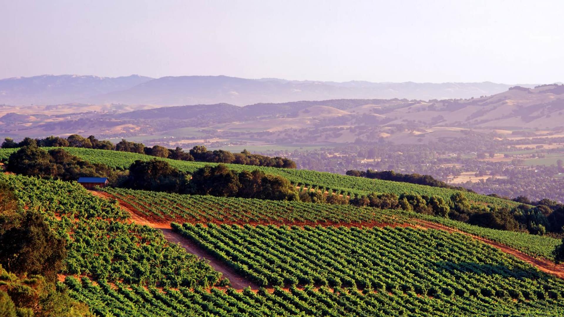 1920X1080 Napa Wallpapers - Top Free 1920X1080 Napa Backgrounds ...