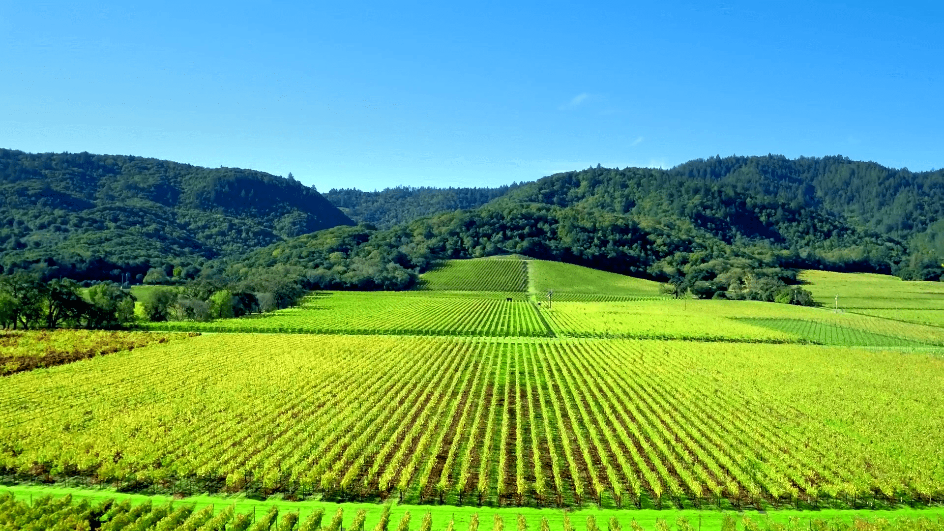 1920X1080 Napa Wallpapers - Top Free 1920X1080 Napa Backgrounds ...