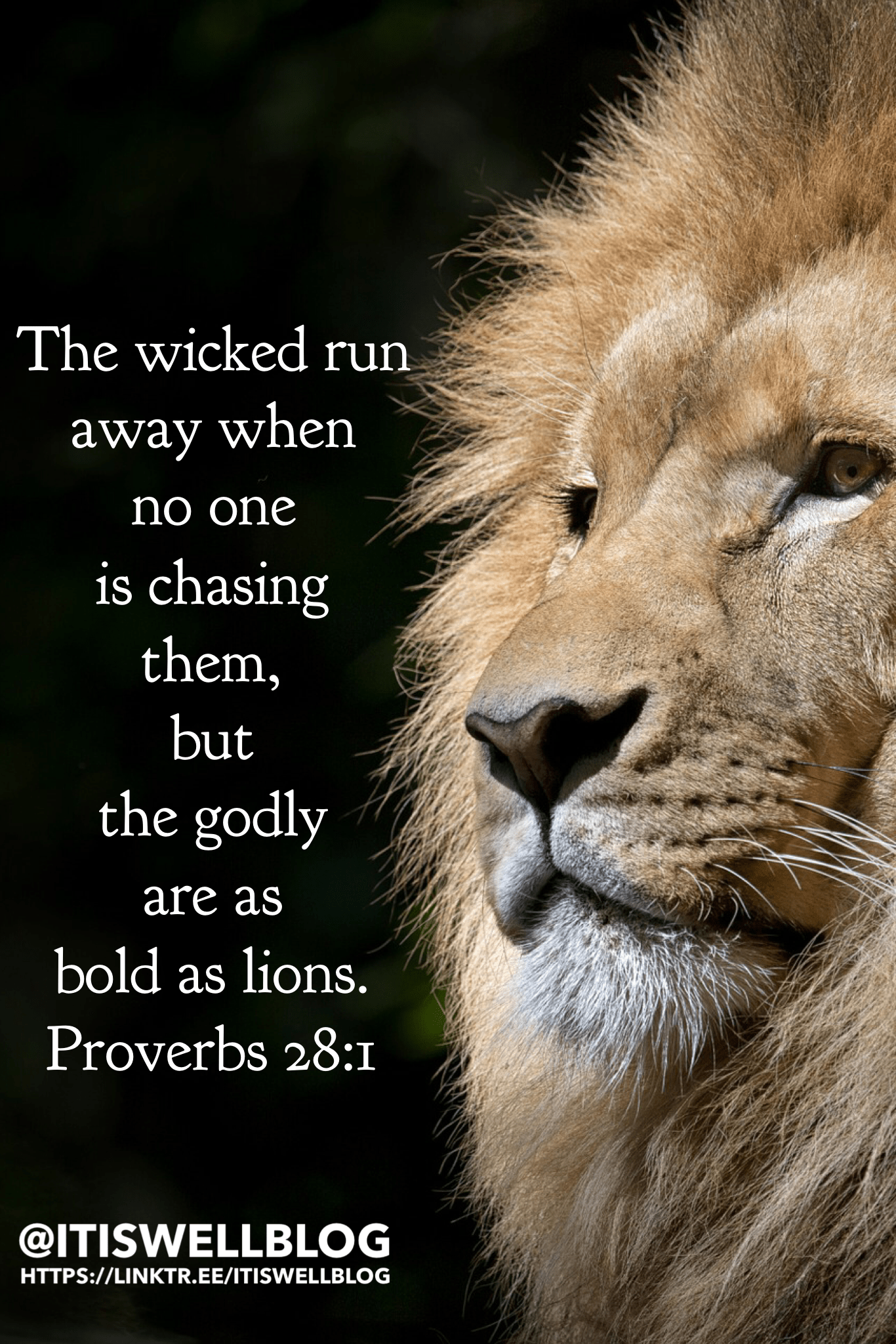 Lion Motivation Bible Wallpapers - Top Free Lion Motivation Bible ...