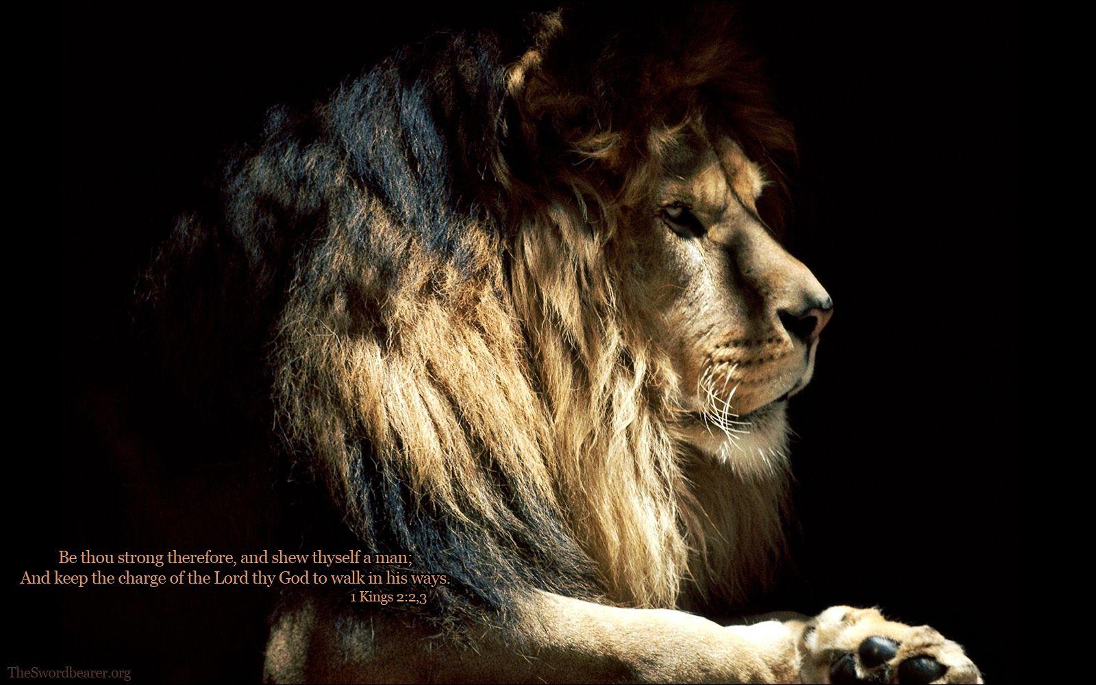 Lion Motivation Bible Wallpapers - Top Free Lion Motivation Bible ...