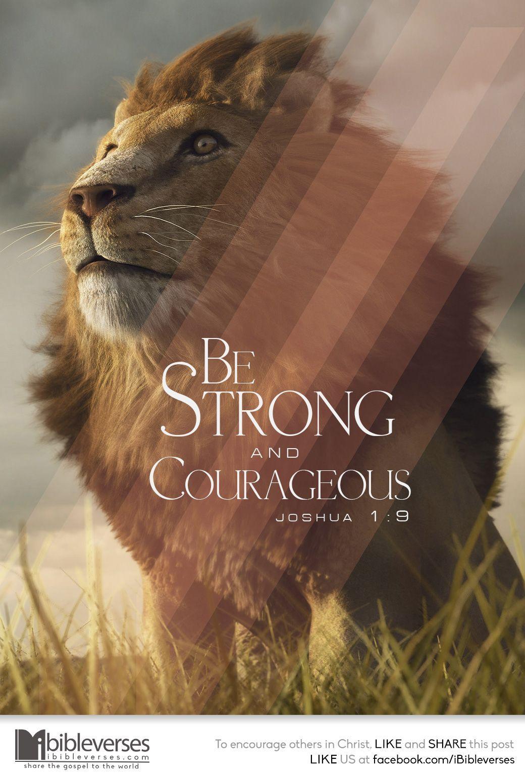 Lion Motivation Bible Wallpapers - Top Free Lion Motivation Bible ...