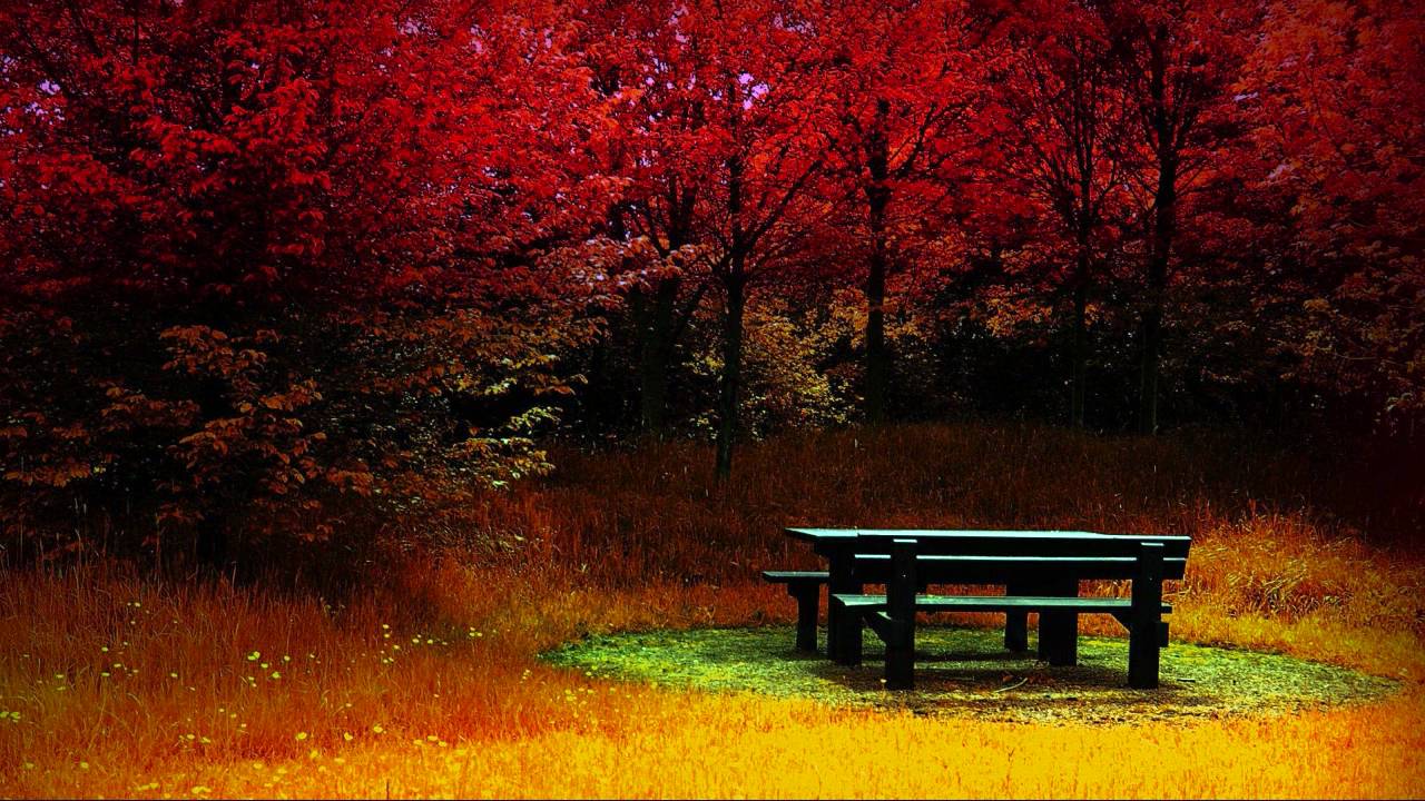 Autumn Woods Wallpapers - Top Free Autumn Woods Backgrounds ...