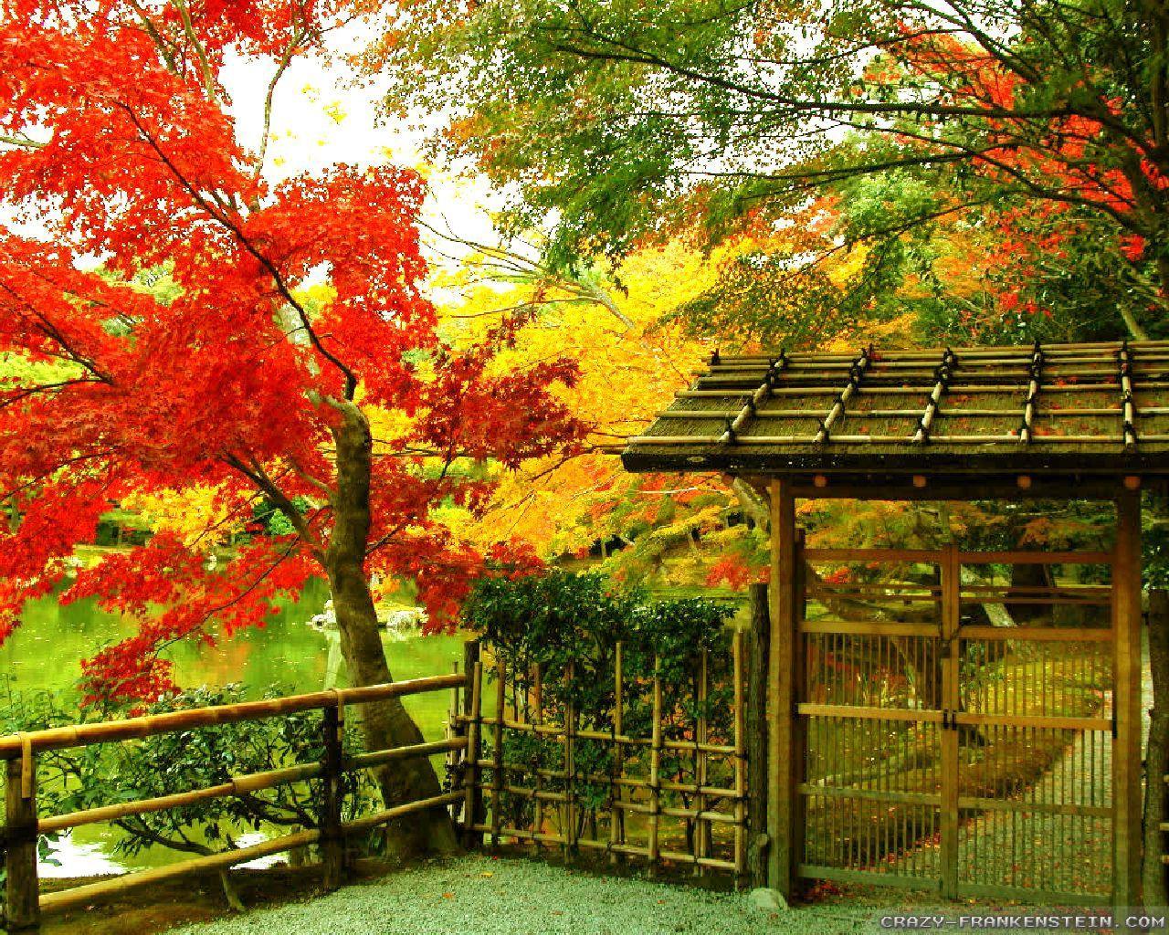 Japan Scene Wallpapers - Top Free Japan Scene Backgrounds - WallpaperAccess