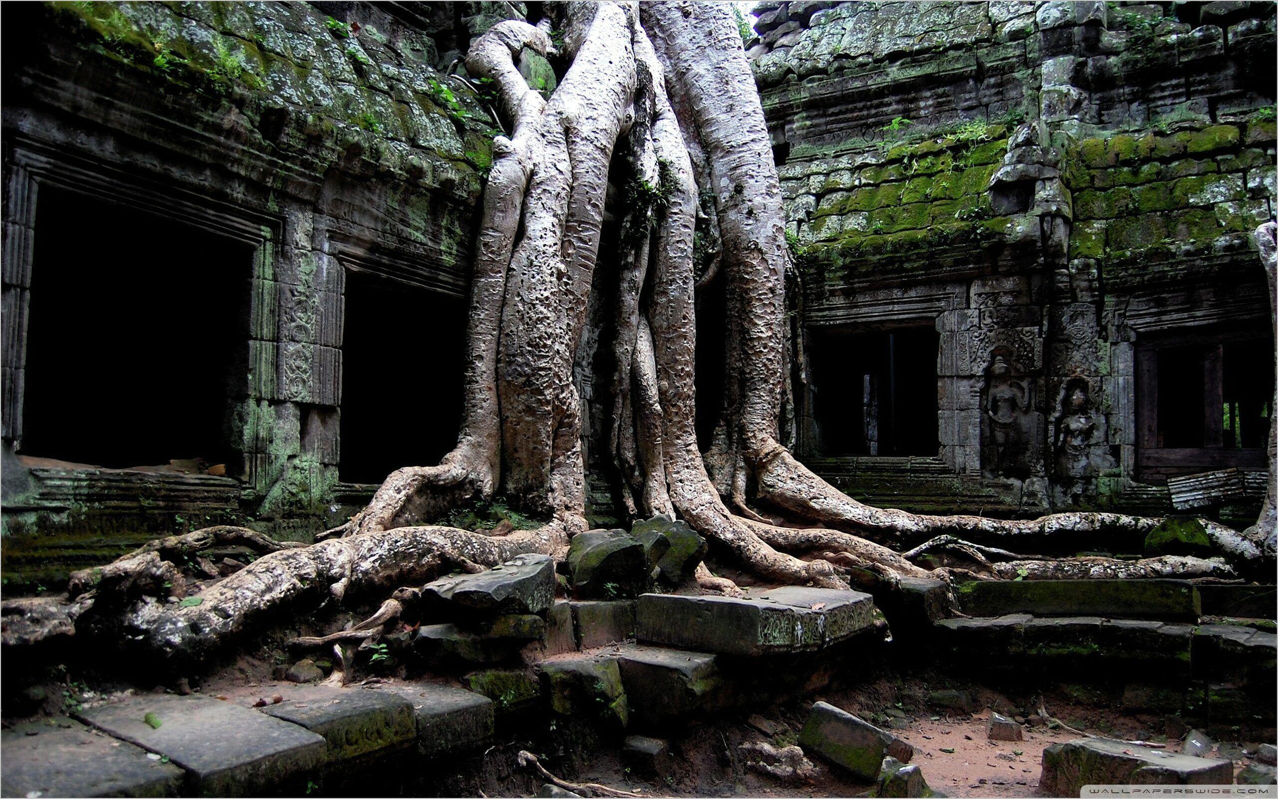 Angkor Wat Desktop Wallpapers - Top Free Angkor Wat Desktop Backgrounds ...