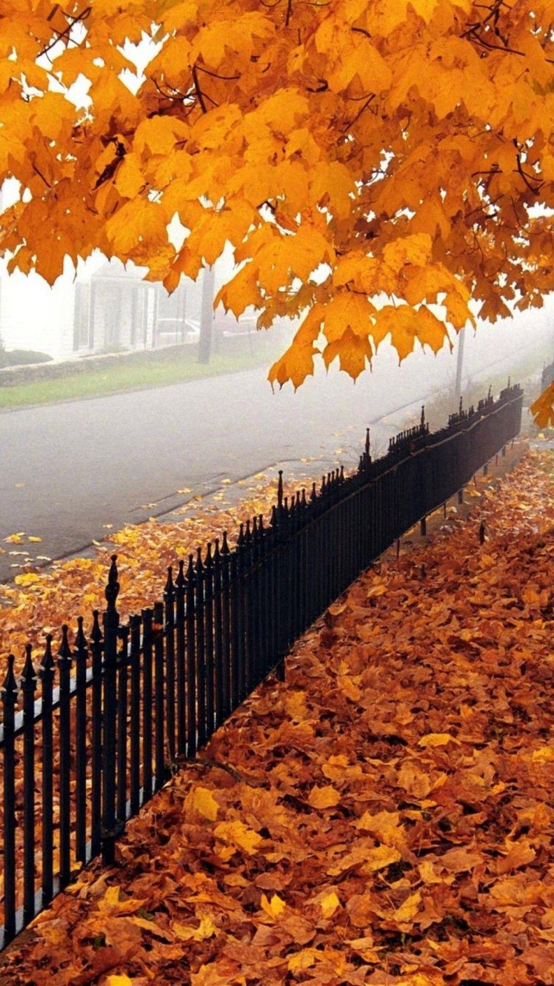 London Fall Wallpapers - Top Free London Fall Backgrounds - WallpaperAccess