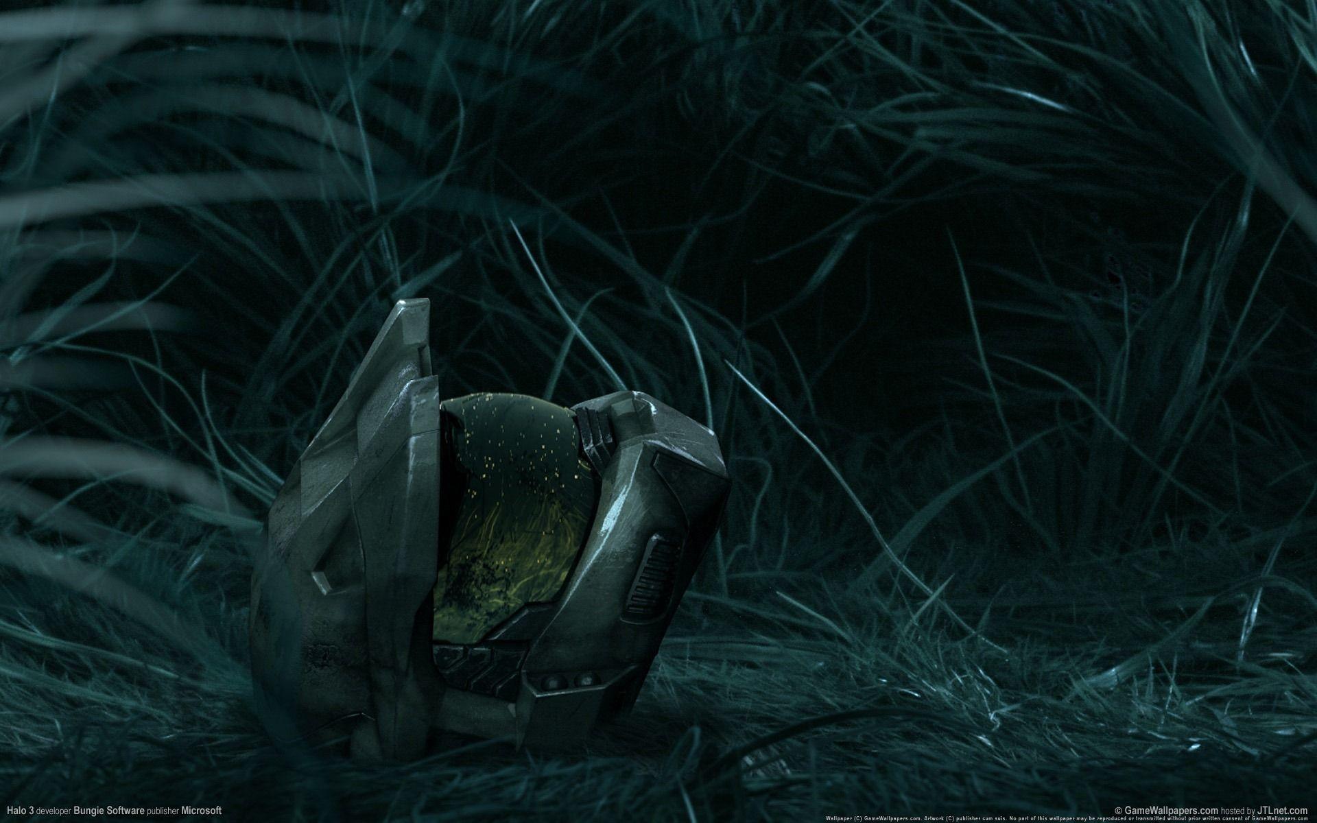 Software 4K Wallpapers - Top Free Software 4K Backgrounds - WallpaperAccess