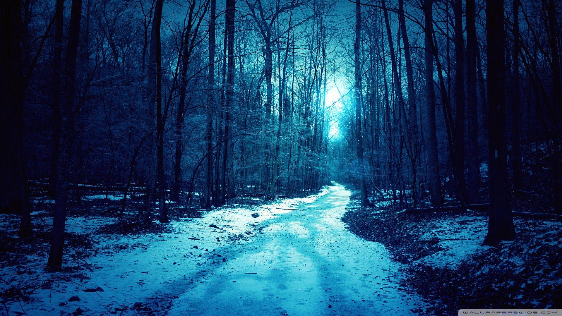 Cold Winter Wallpapers - Top Free Cold Winter Backgrounds - WallpaperAccess