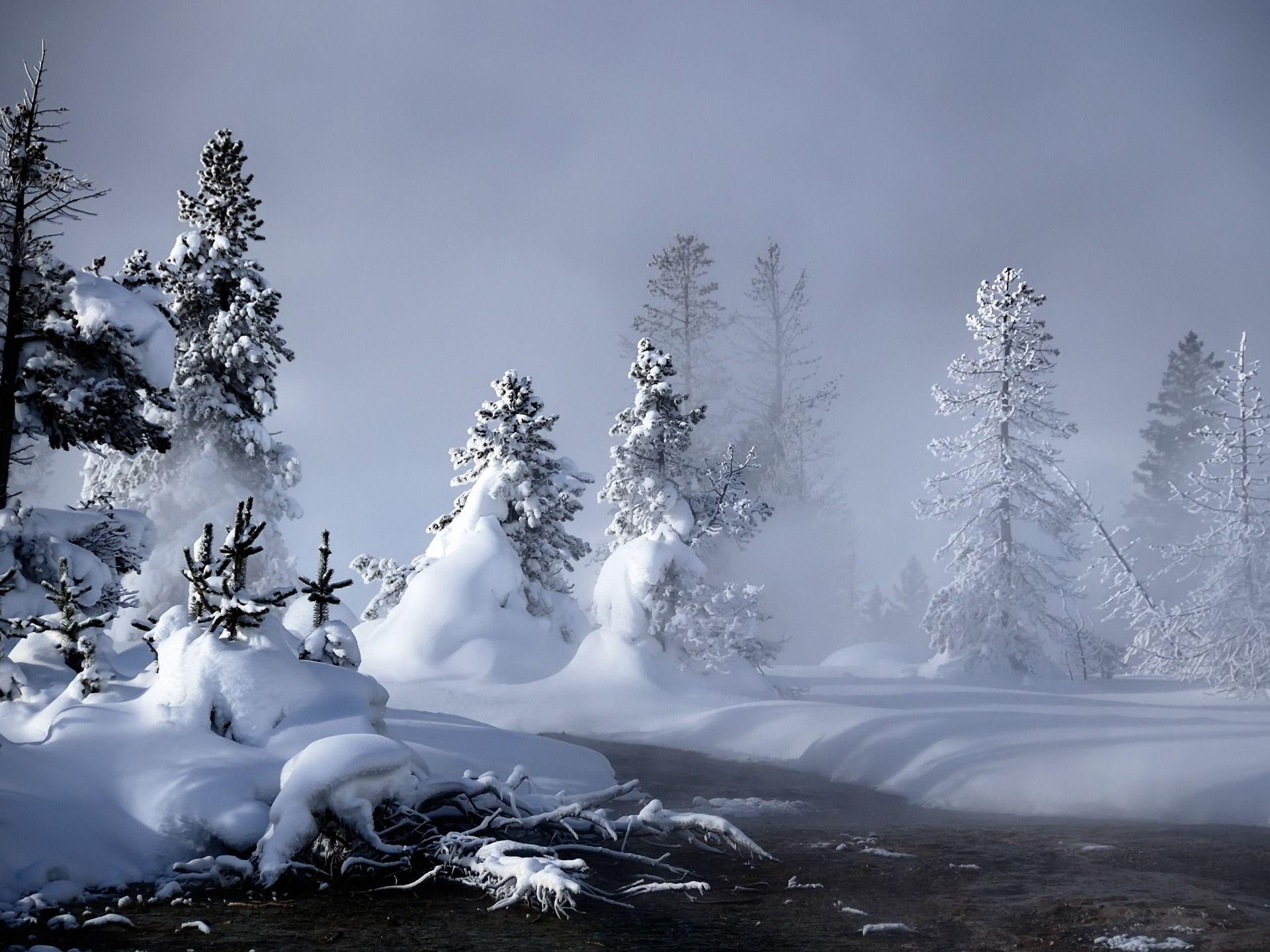 Cold Winter Wallpapers - Top Free Cold Winter Backgrounds - WallpaperAccess