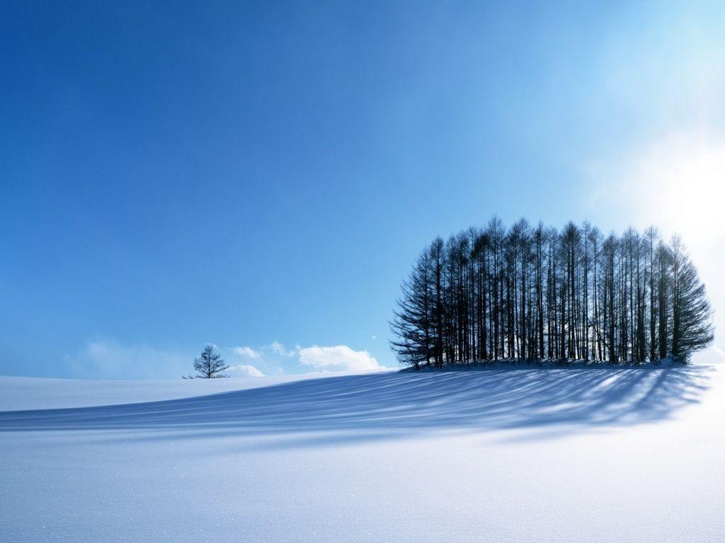 Cold Winter Wallpapers - Top Free Cold Winter Backgrounds - WallpaperAccess