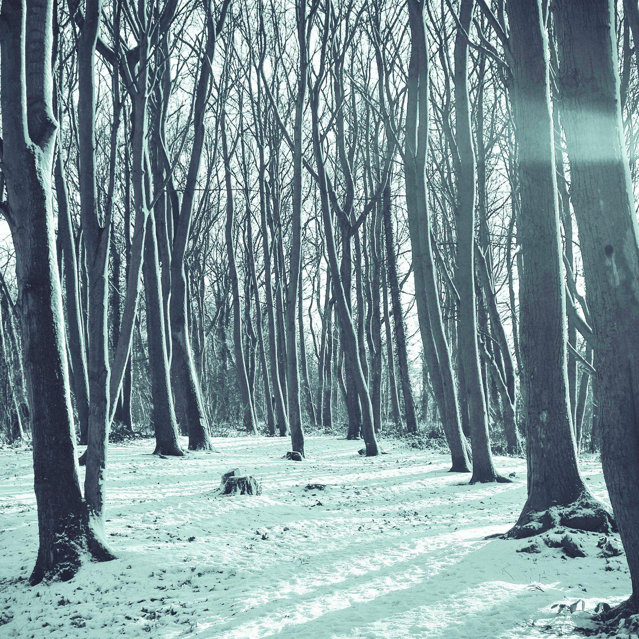 Cold Winter Wallpapers - Top Free Cold Winter Backgrounds - WallpaperAccess