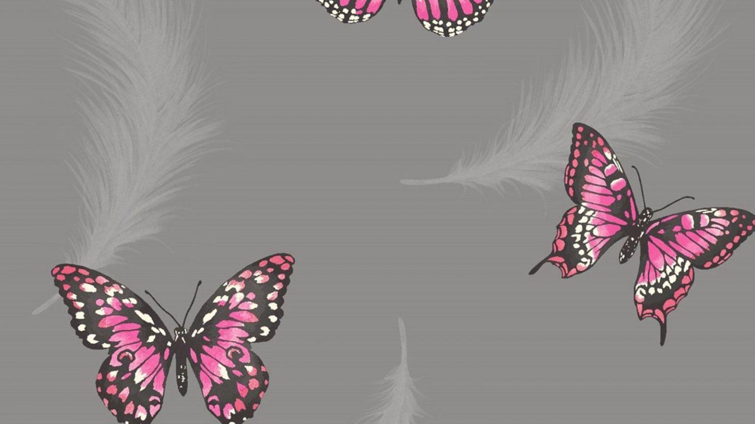Teal Butterfly Wallpapers - Top Free Teal Butterfly Backgrounds ...