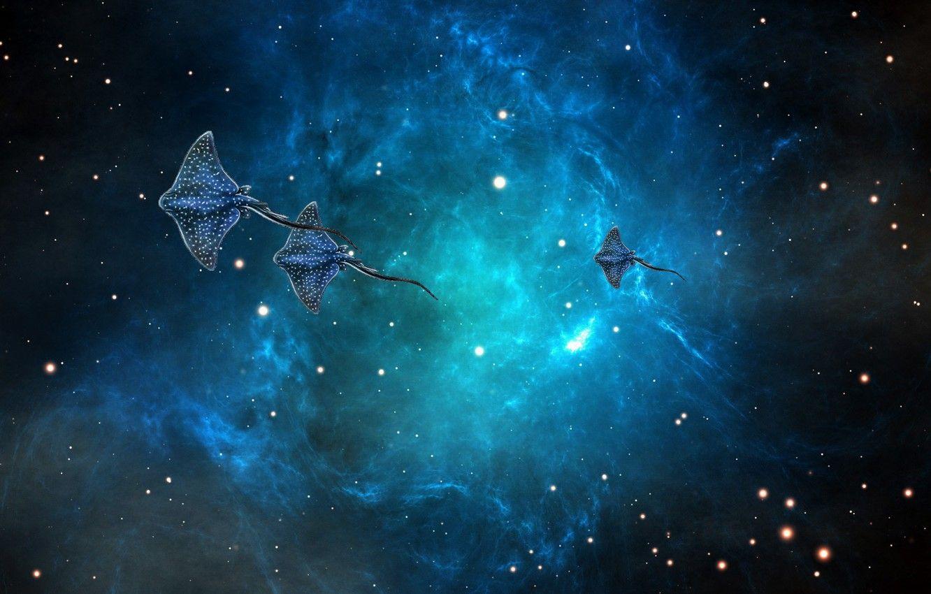 Ocean Planet Wallpapers - Top Free Ocean Planet Backgrounds ...