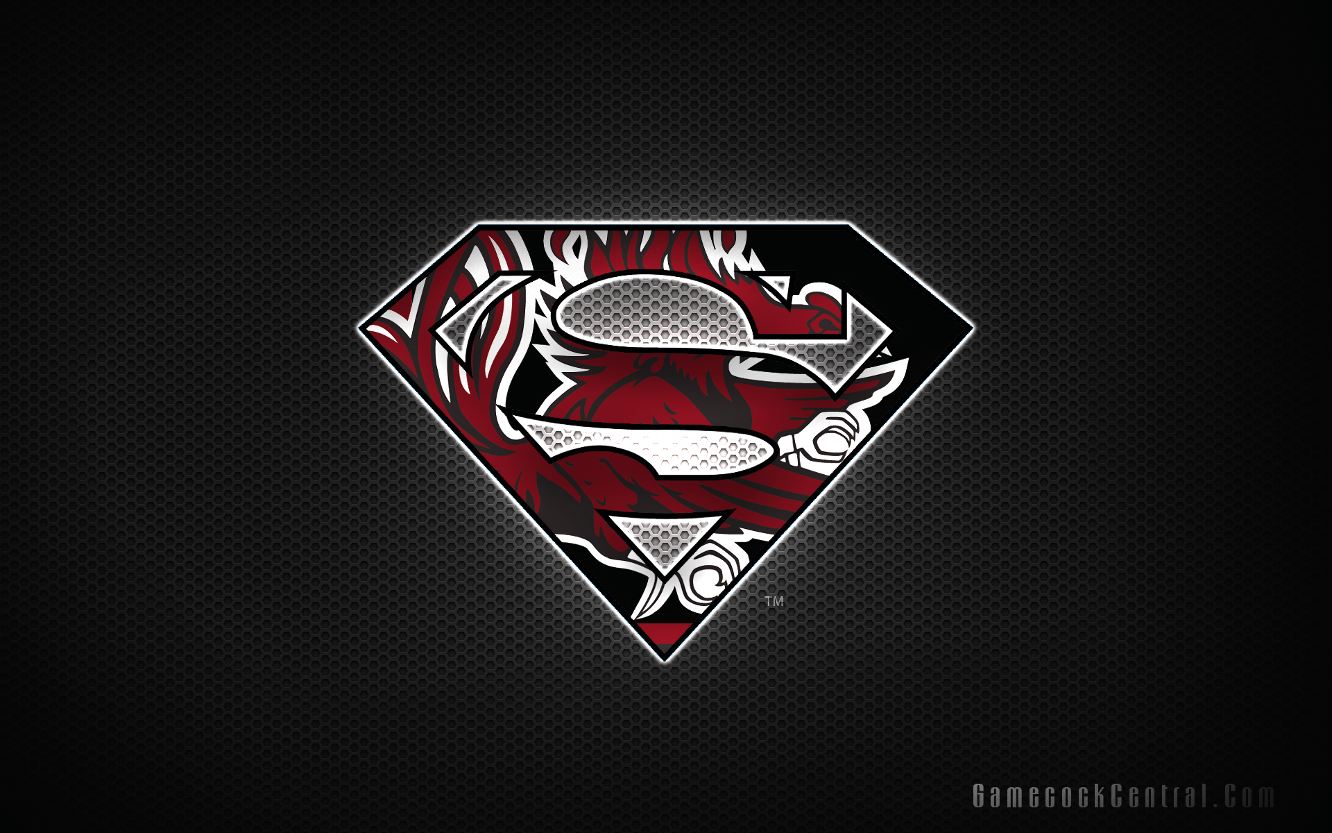 Carolina Gamecocks Wallpapers - Top Free Carolina Gamecocks Backgrounds ...