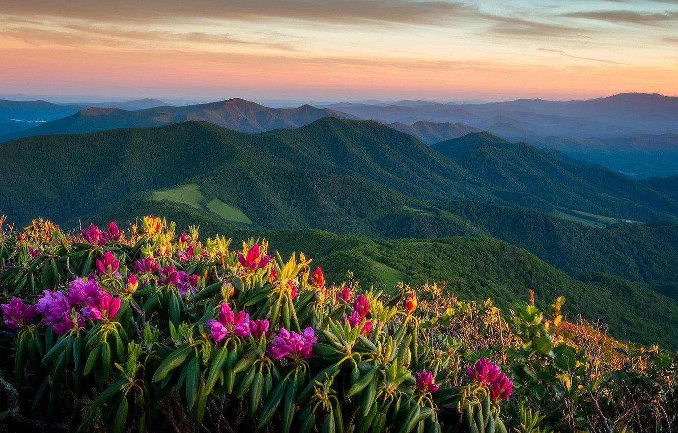 North Carolina Mountains Wallpapers - Top Free North Carolina Mountains ...