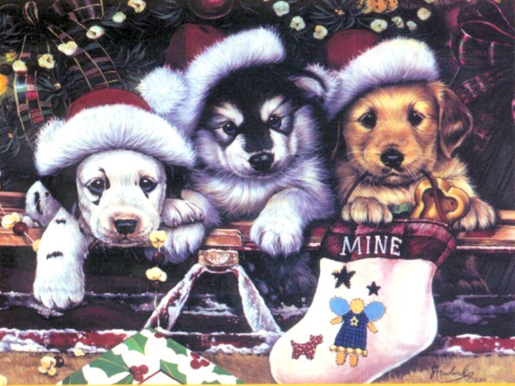 Cute Animal Thanksgiving Wallpapers - Top Free Cute Animal Thanksgiving ...