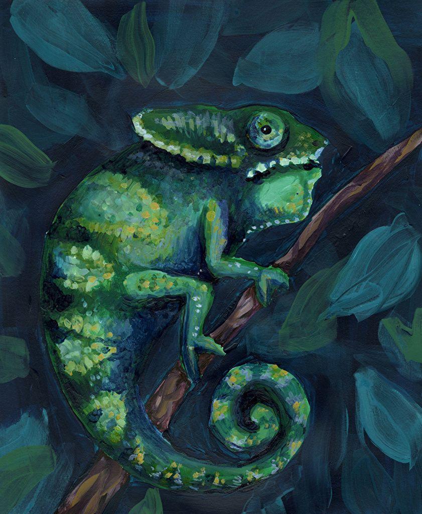 Lizard Phone Wallpapers - Top Free Lizard Phone Backgrounds ...