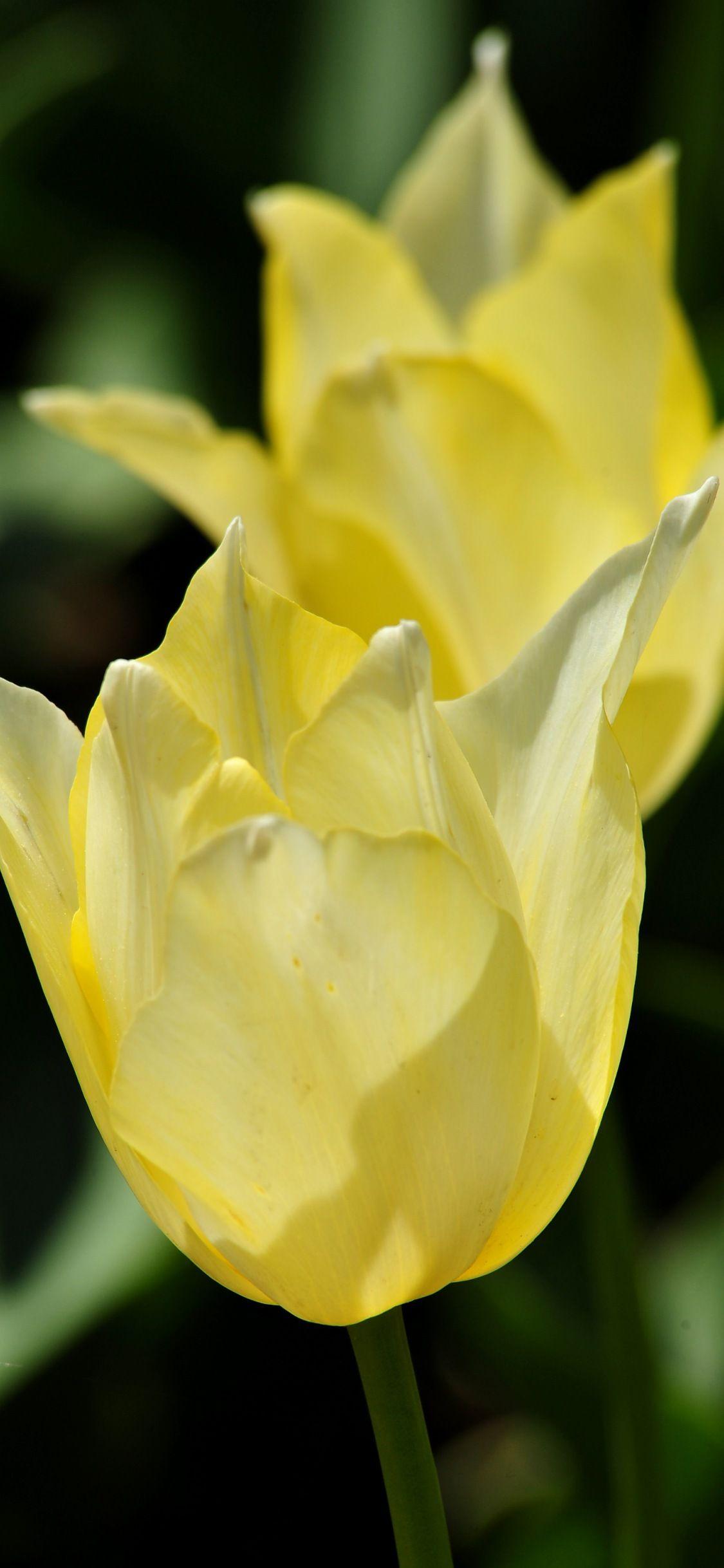 Education iPhone Wallpapers - Top Free Education iPhone Backgrounds ...