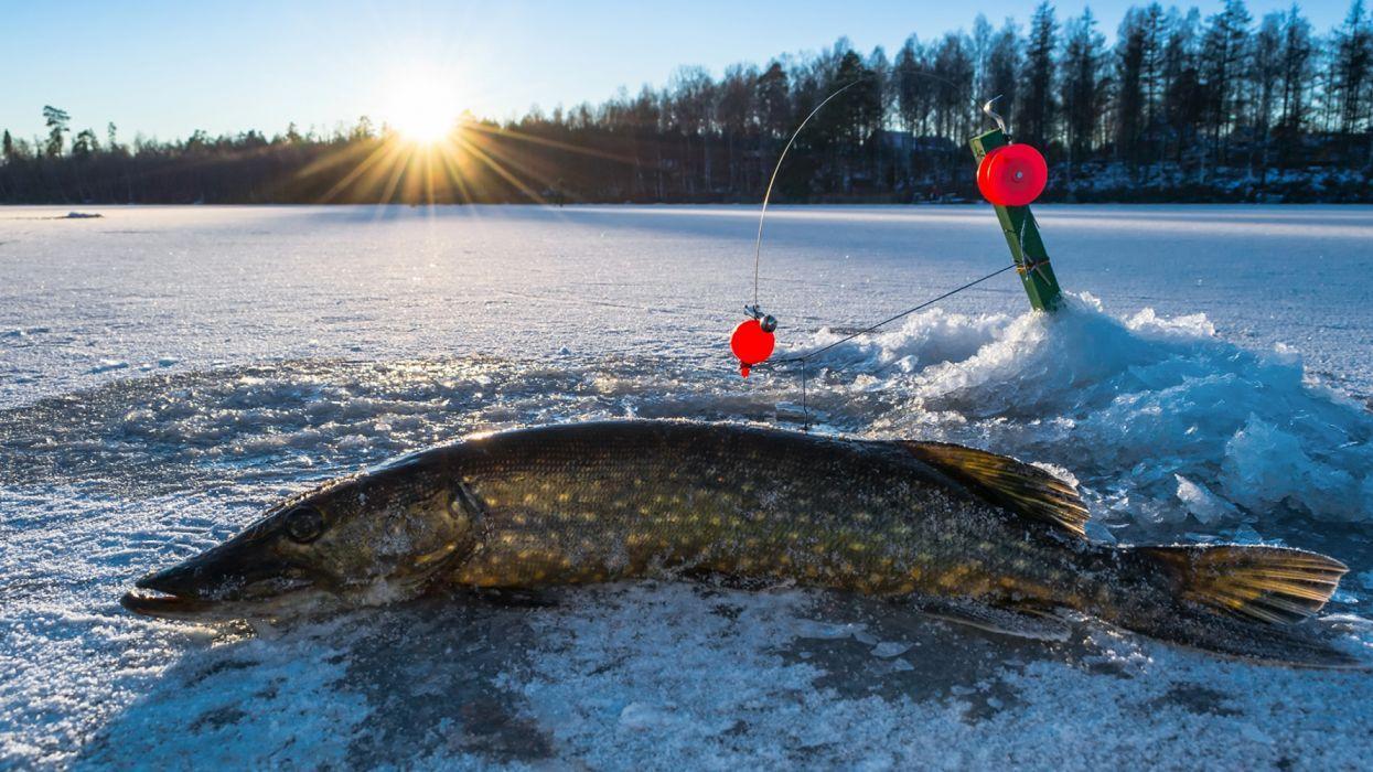 Fishing Rod Wallpapers - Top Free Fishing Rod Backgrounds - WallpaperAccess