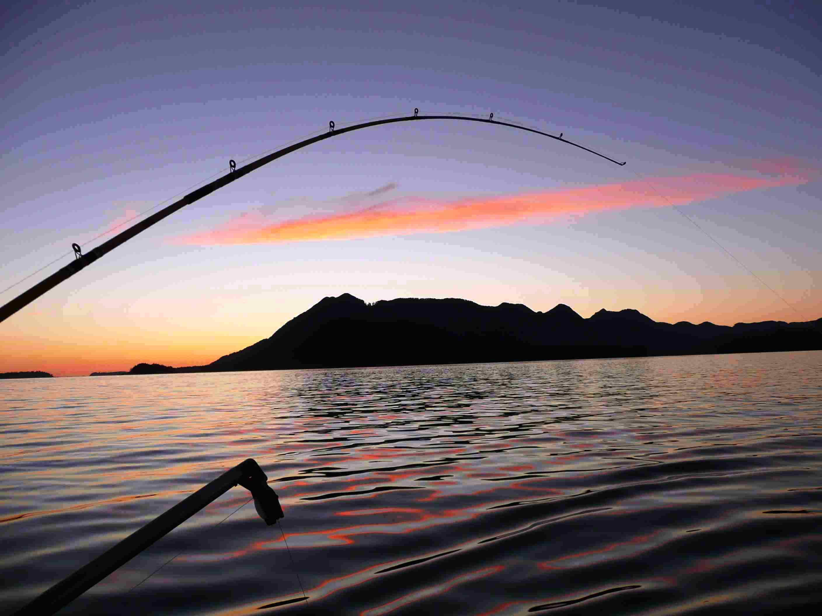 Fishing Rod Wallpapers - Top Free Fishing Rod Backgrounds - WallpaperAccess