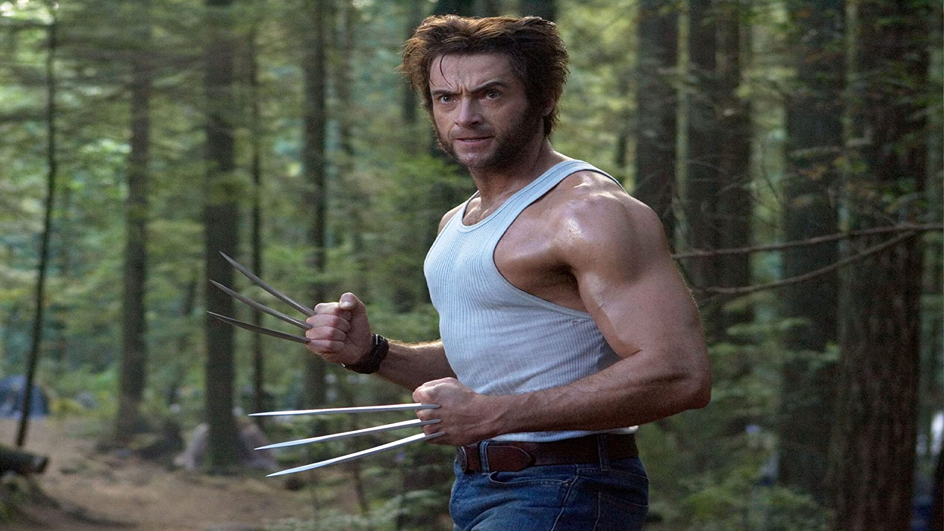 Wolverine Skeleton Desktop Wallpapers - Top Free Wolverine Skeleton ...