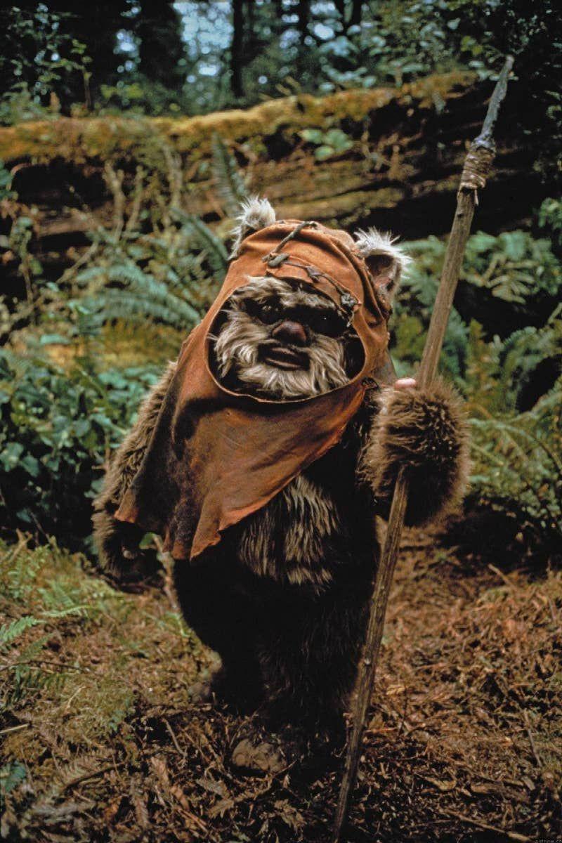 Ewok Star Wars Wallpapers - Top Free Ewok Star Wars Backgrounds - WallpaperAccess