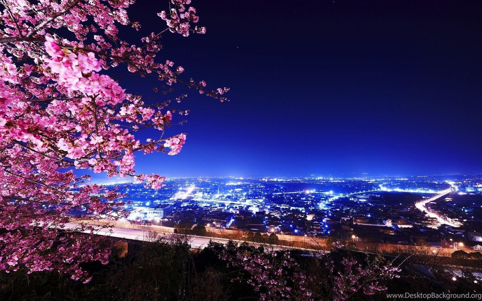 Cherry Blossom Tree Desktop Wallpapers - Top Free Cherry Blossom Tree ...