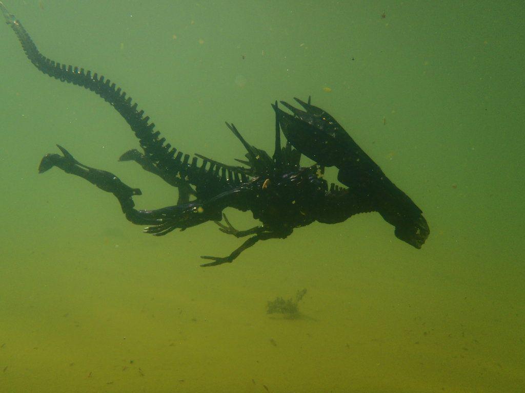 Alien Queen Wallpapers - Top Free Alien Queen Backgrounds - WallpaperAccess