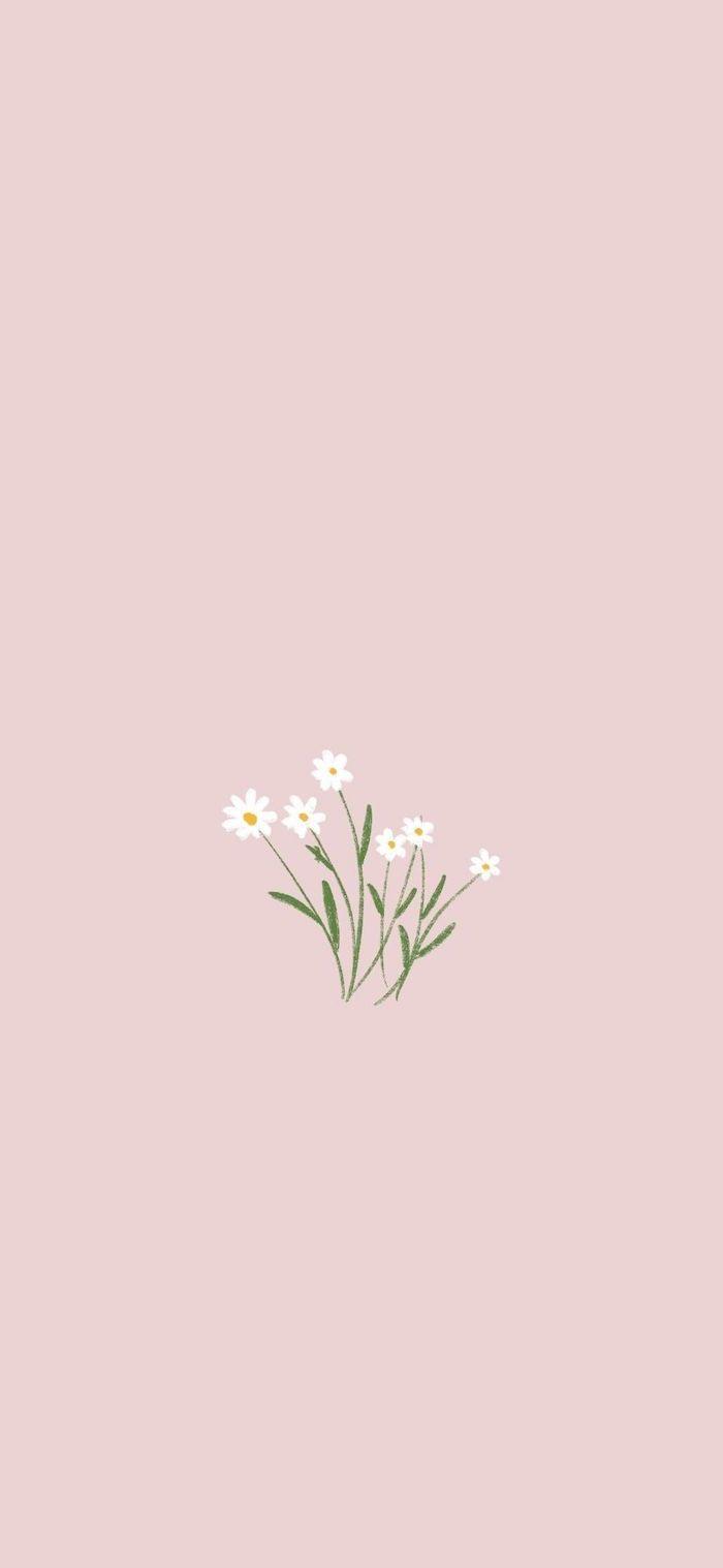 Minimal Floral Wallpapers - Top Free Minimal Floral Backgrounds ...