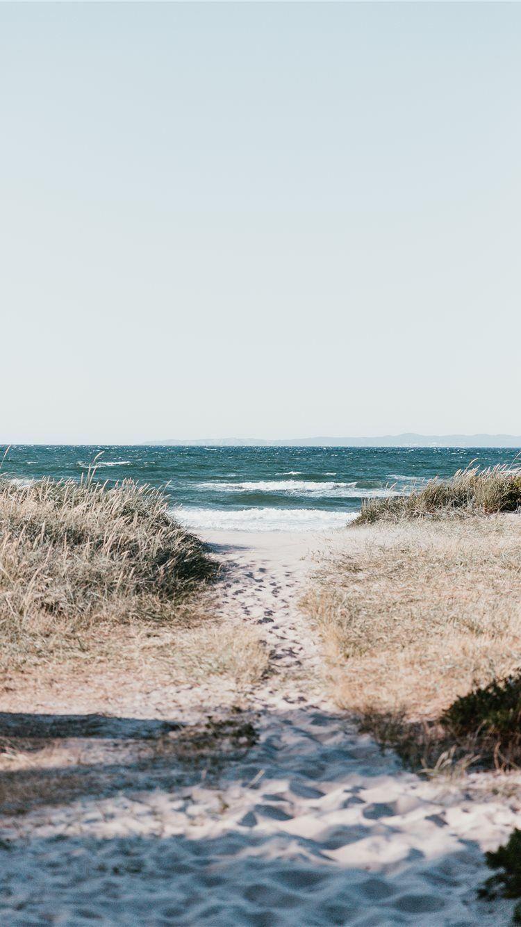 Beach Grass Wallpapers - Top Free Beach Grass Backgrounds - WallpaperAccess