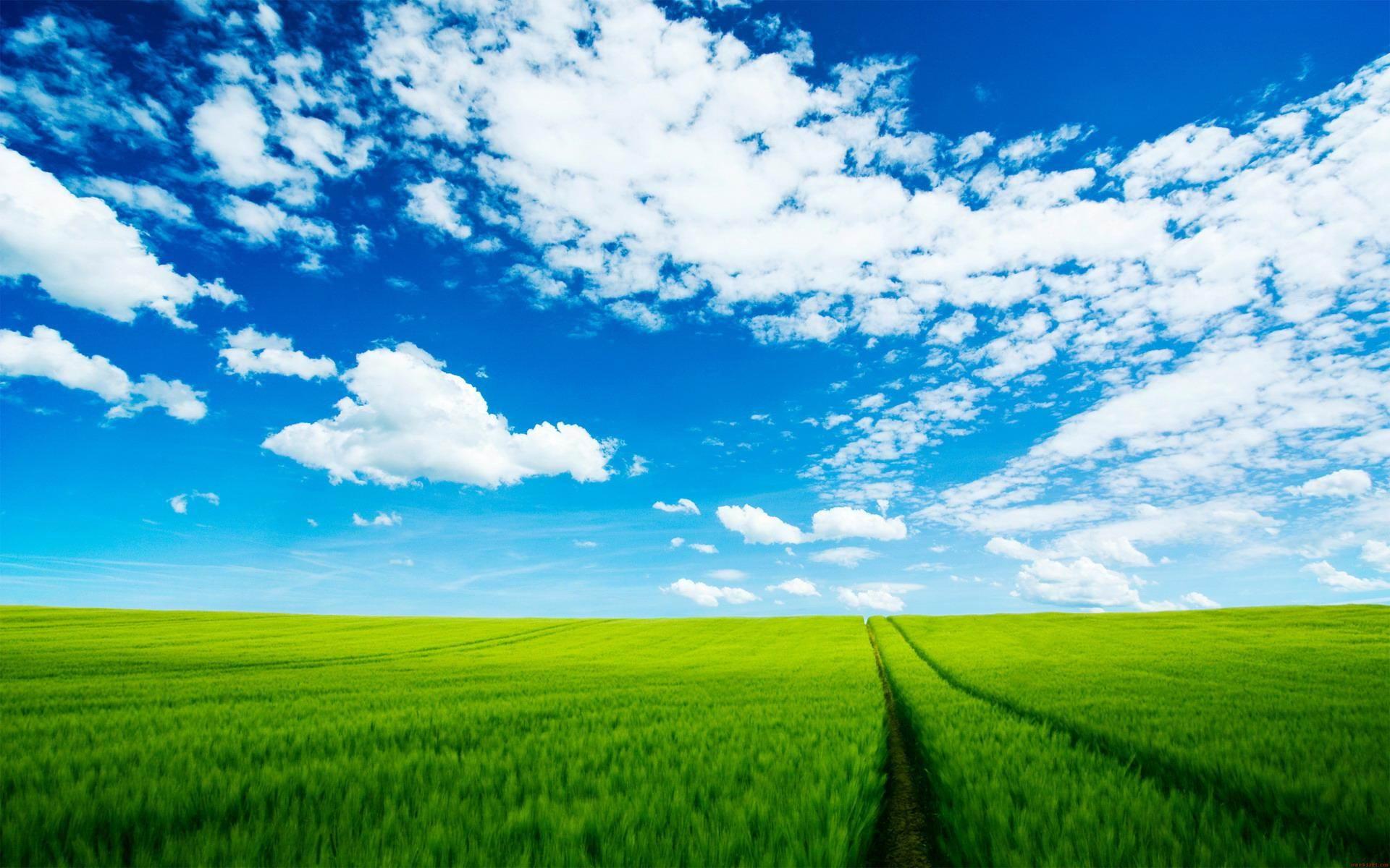 Sky and Grass Wallpapers - Top Free Sky and Grass Backgrounds ...