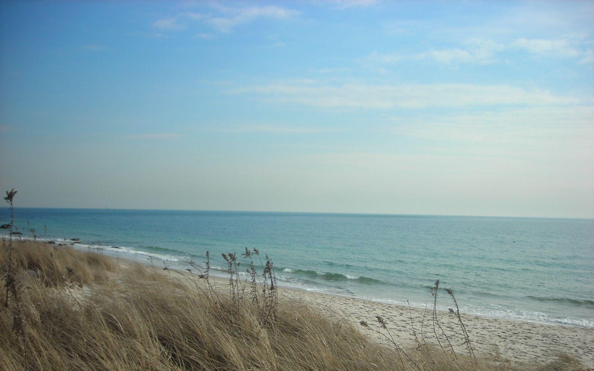 Beach Grass Wallpapers - Top Free Beach Grass Backgrounds - WallpaperAccess