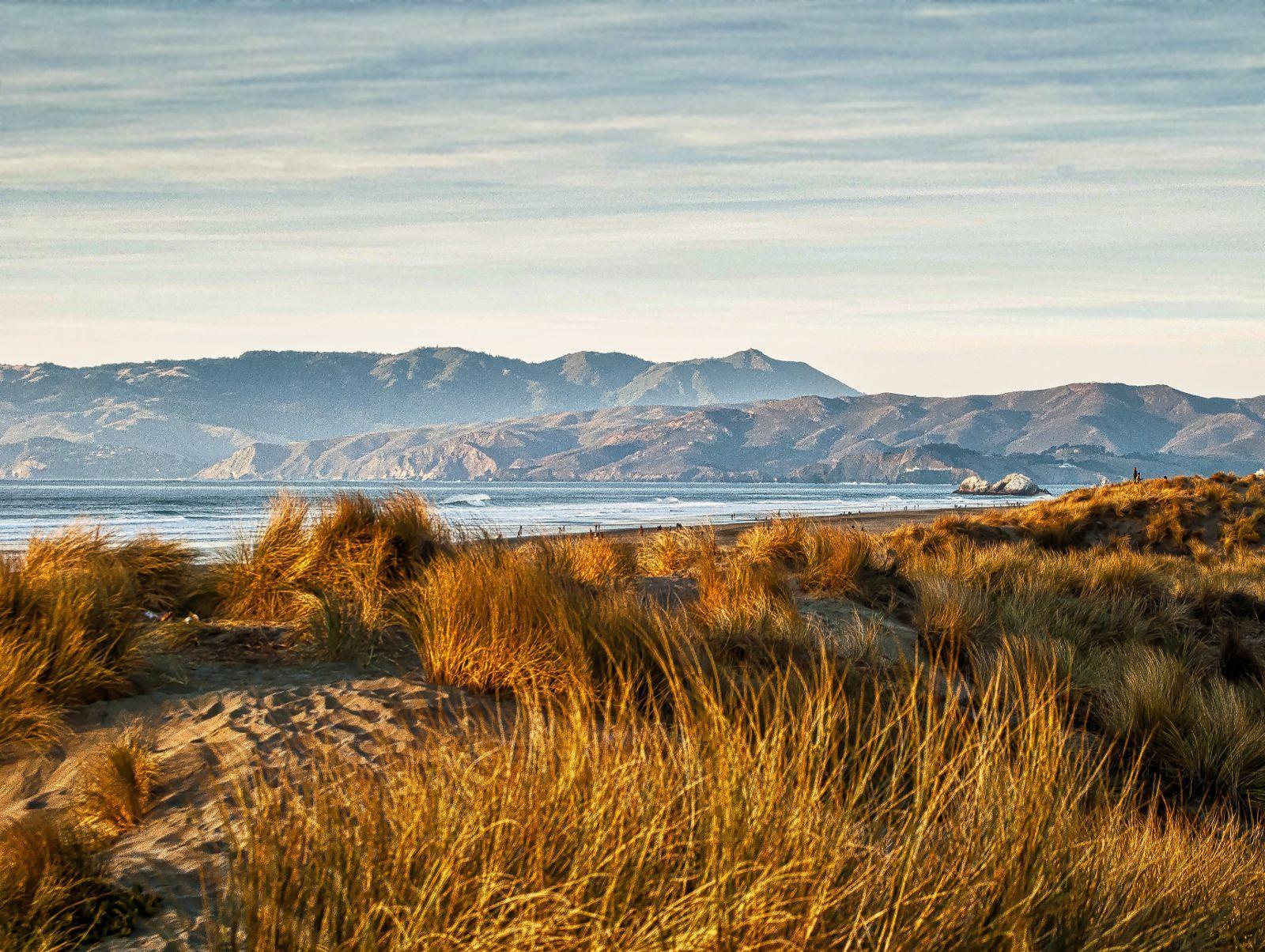 Beach Grass Wallpapers - Top Free Beach Grass Backgrounds - WallpaperAccess