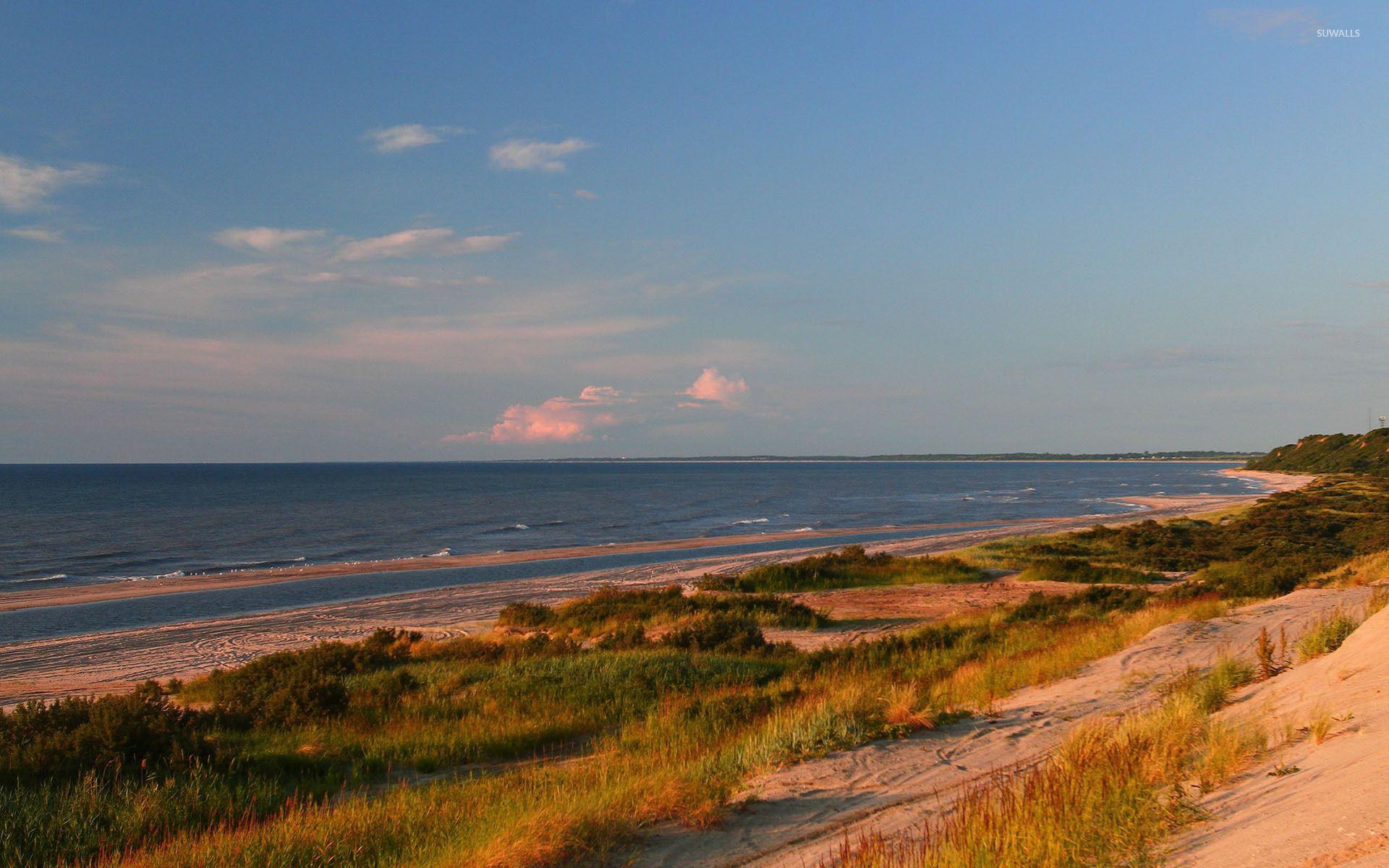 Beach Grass Wallpapers - Top Free Beach Grass Backgrounds - WallpaperAccess