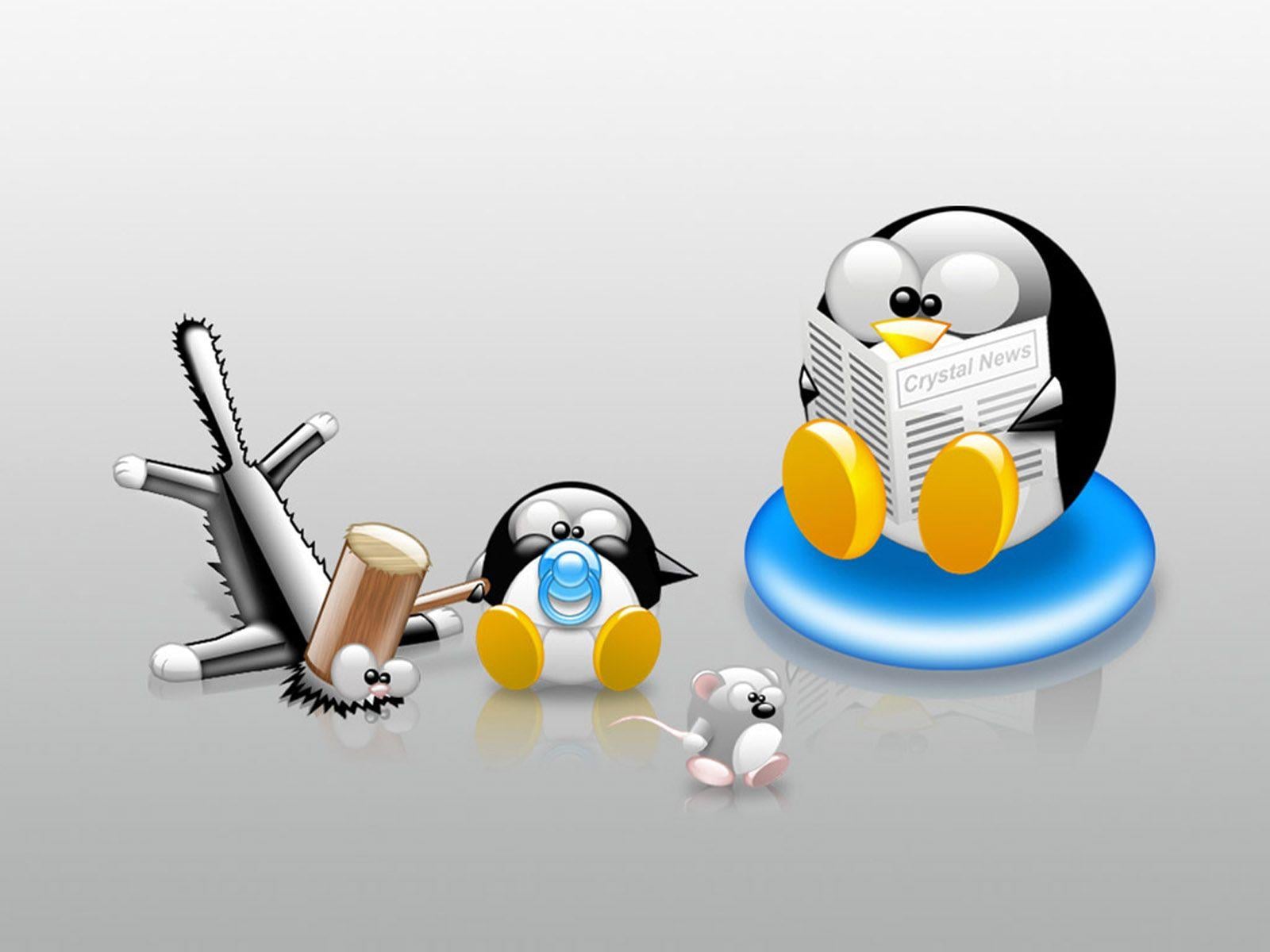 Funny Linux Wallpapers - Top Free Funny Linux Backgrounds - WallpaperAccess