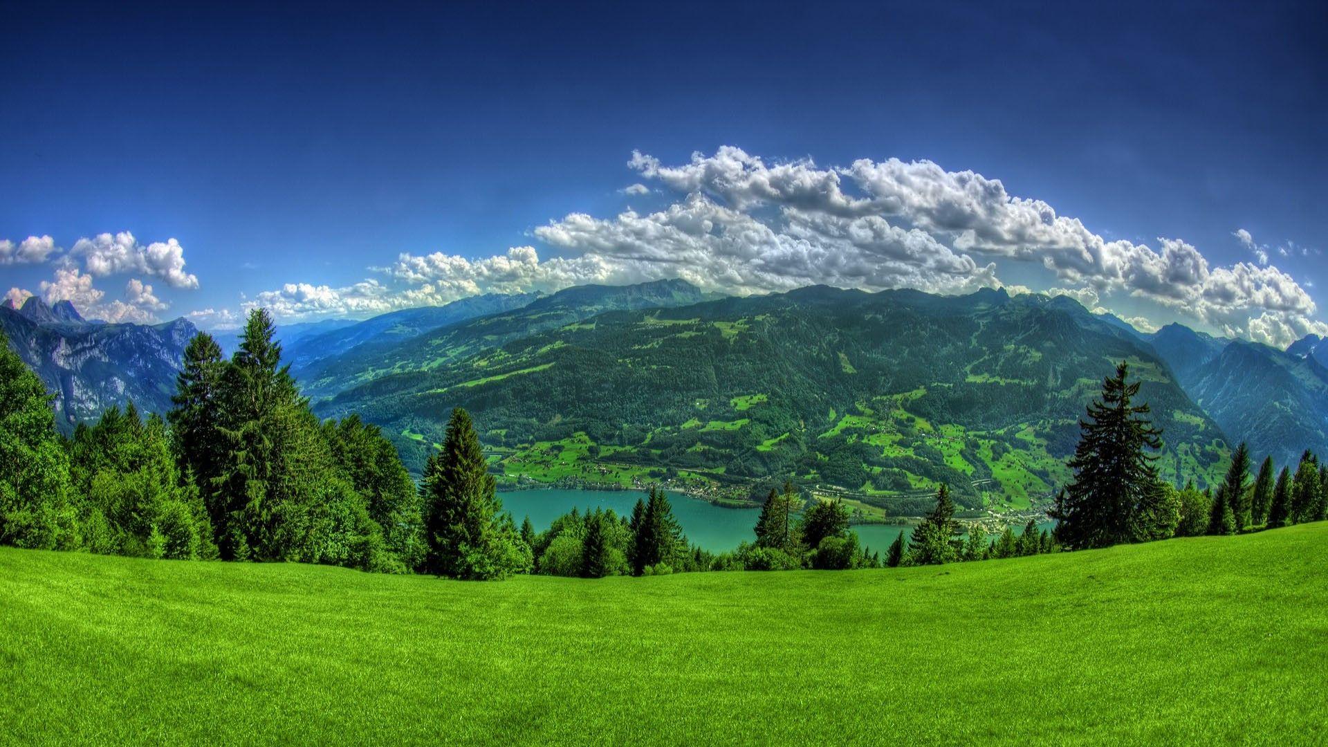 Grass Hill Wallpapers Top Free Grass Hill Backgrounds Wallpaperaccess