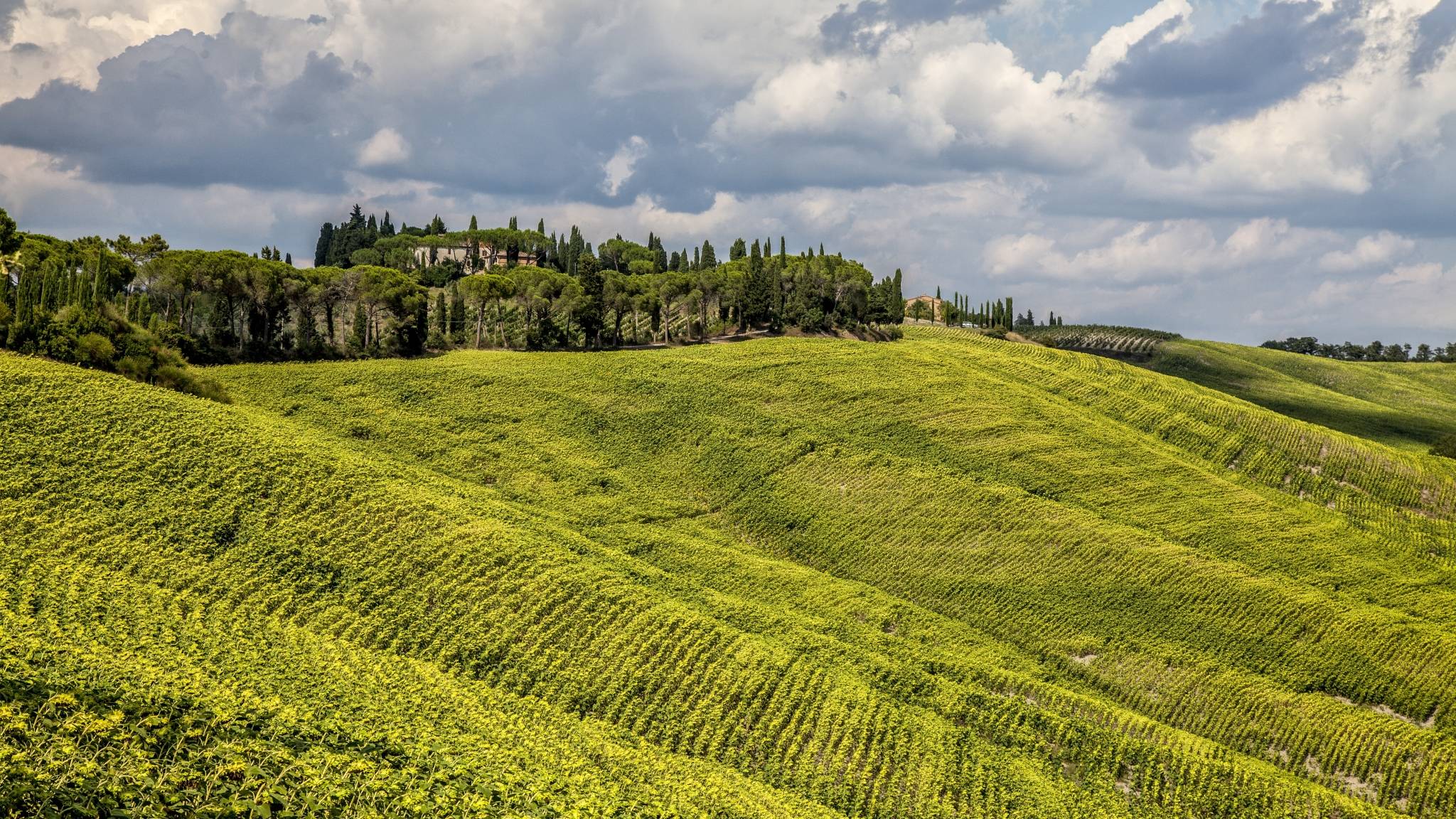 Grass Hill Wallpapers - Top Free Grass Hill Backgrounds - WallpaperAccess