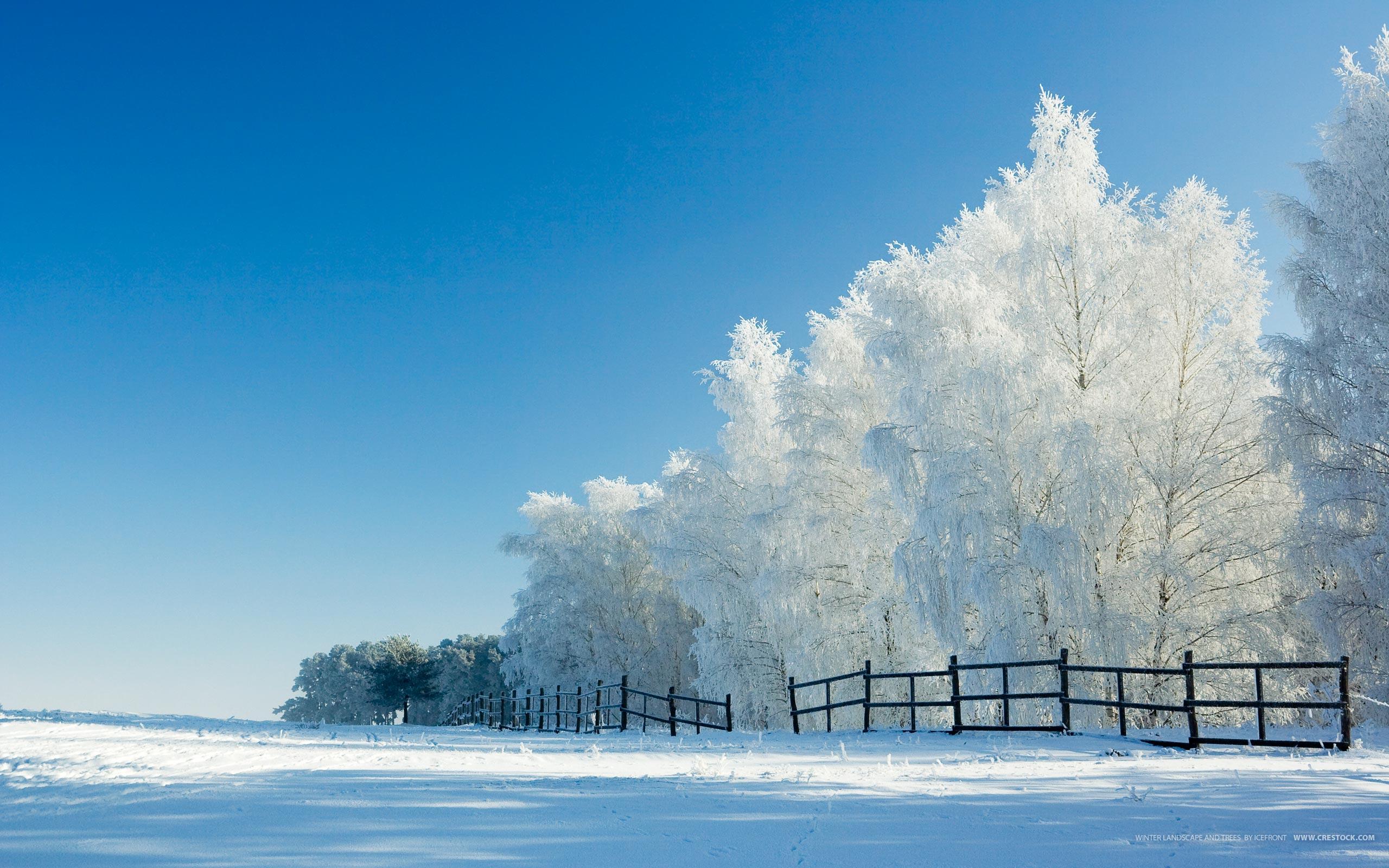 Frozen Snow Wallpapers - Top Free Frozen Snow Backgrounds - WallpaperAccess