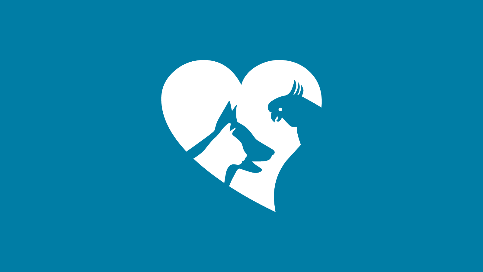 Veterinary Medicine Wallpapers - Top Free Veterinary Medicine ...