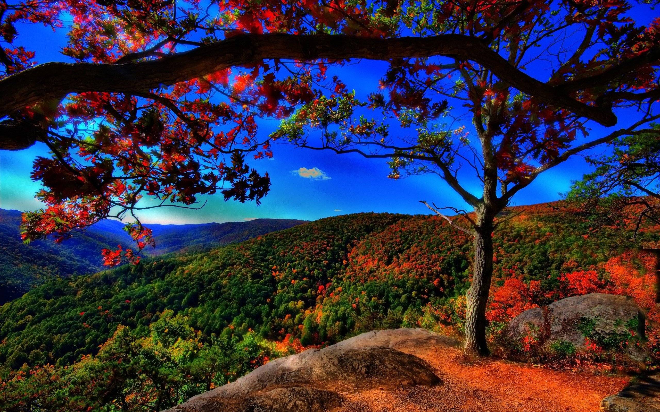 Beautiful Scenery HD Wallpapers - Top Free Beautiful Scenery HD ...