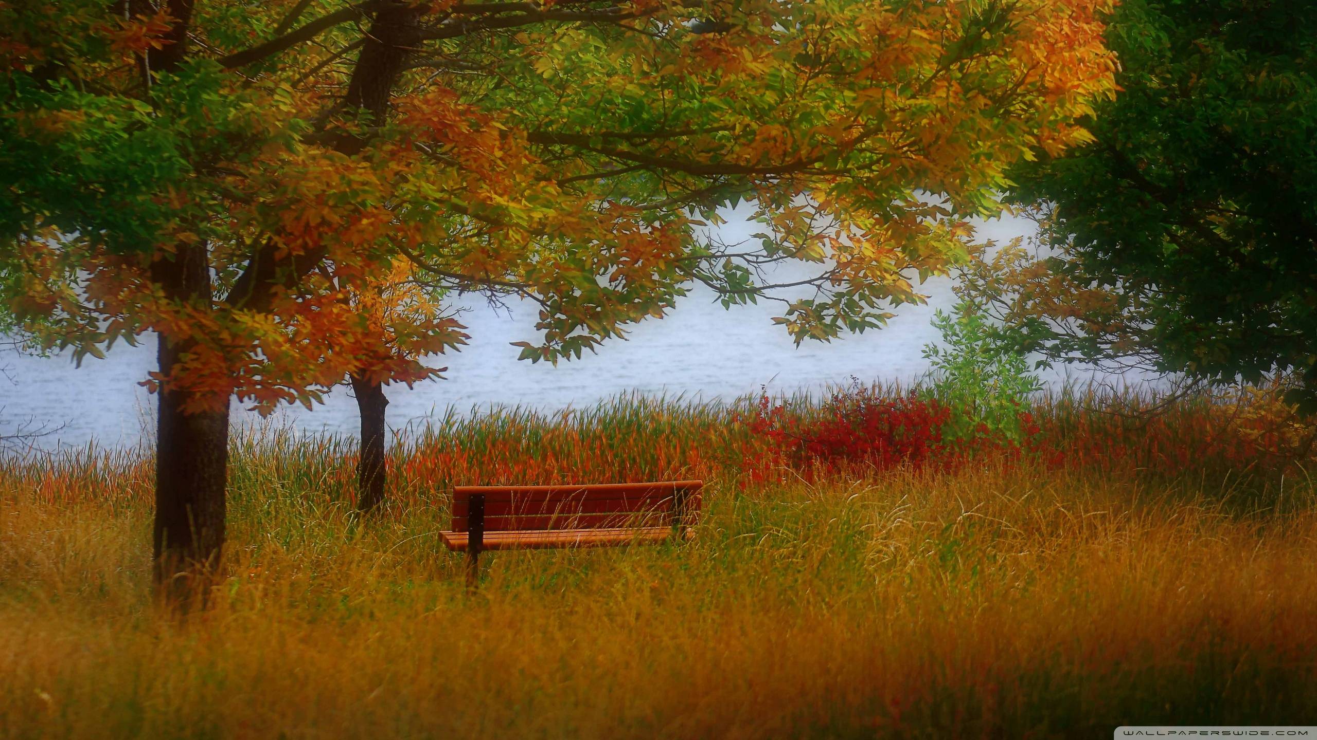 Beautiful Scenery HD Wallpapers - Top Free Beautiful Scenery HD ...