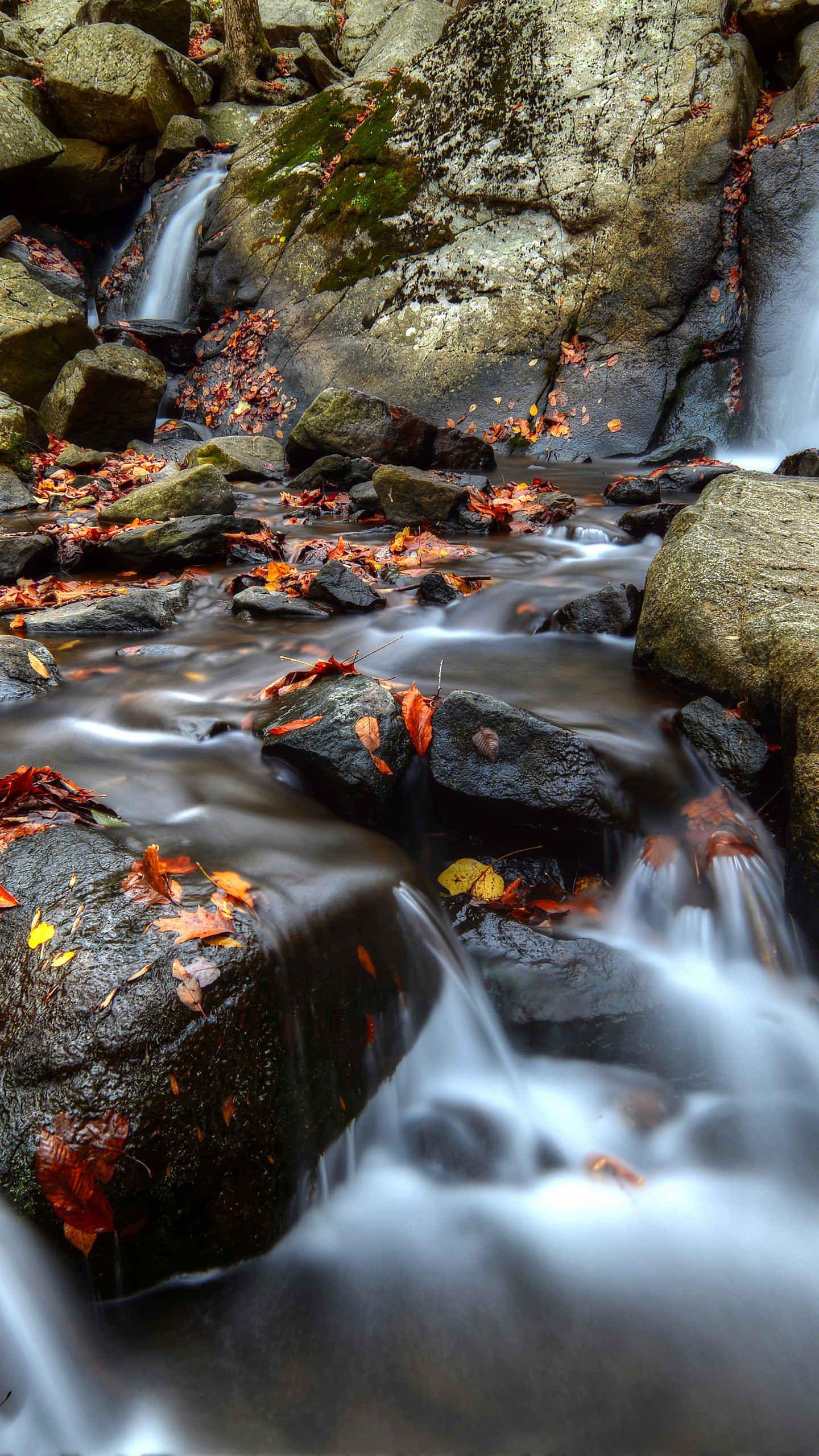 Huawei Y9 Wallpapers - Top Free Huawei Y9 Backgrounds - WallpaperAccess